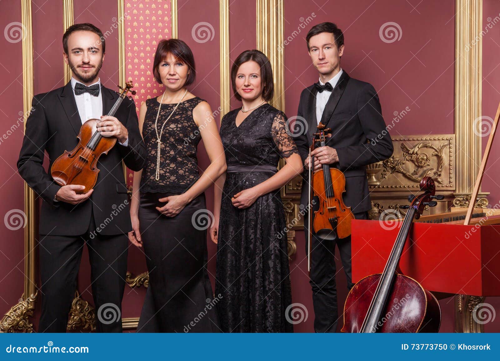 Classical Music Quartet Posing after the Concert. Stock Photo - Image ...