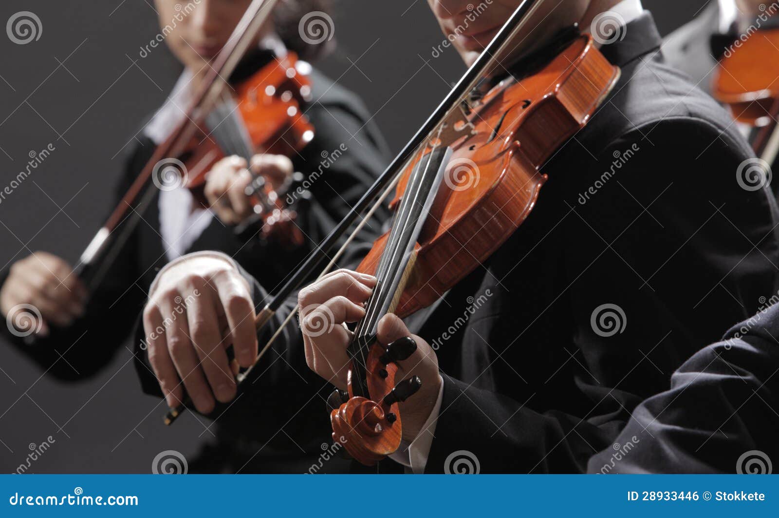 Classical Music. Violinists in Concert Stock Photo - Image of violin ...