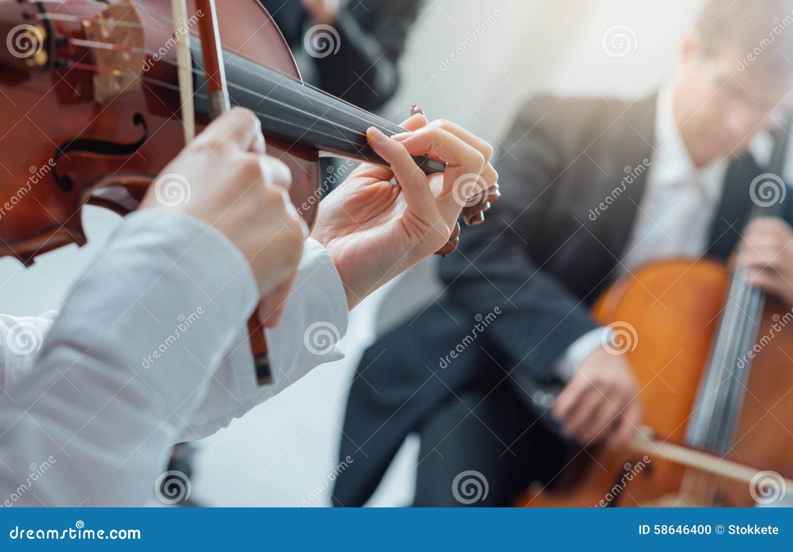 Classical Orchestra String Section Performing Stock Photo - Image of ...