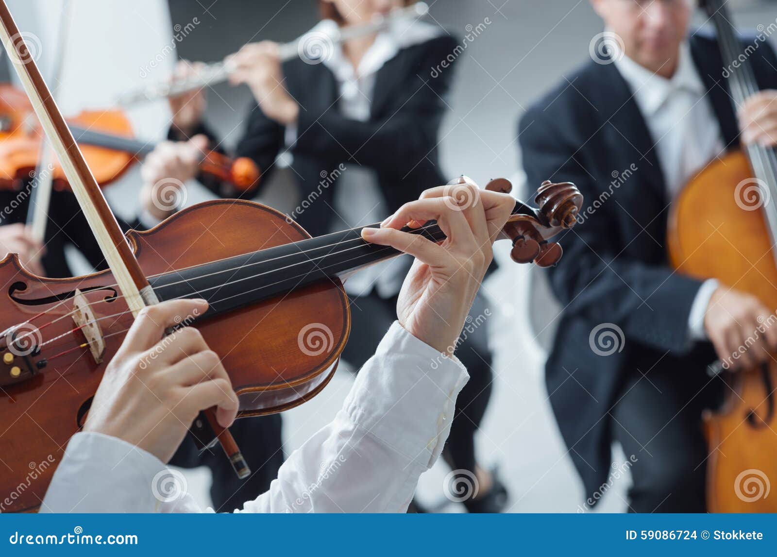 Classical Orchestra String Section Performing Stock Photo - Image of ...