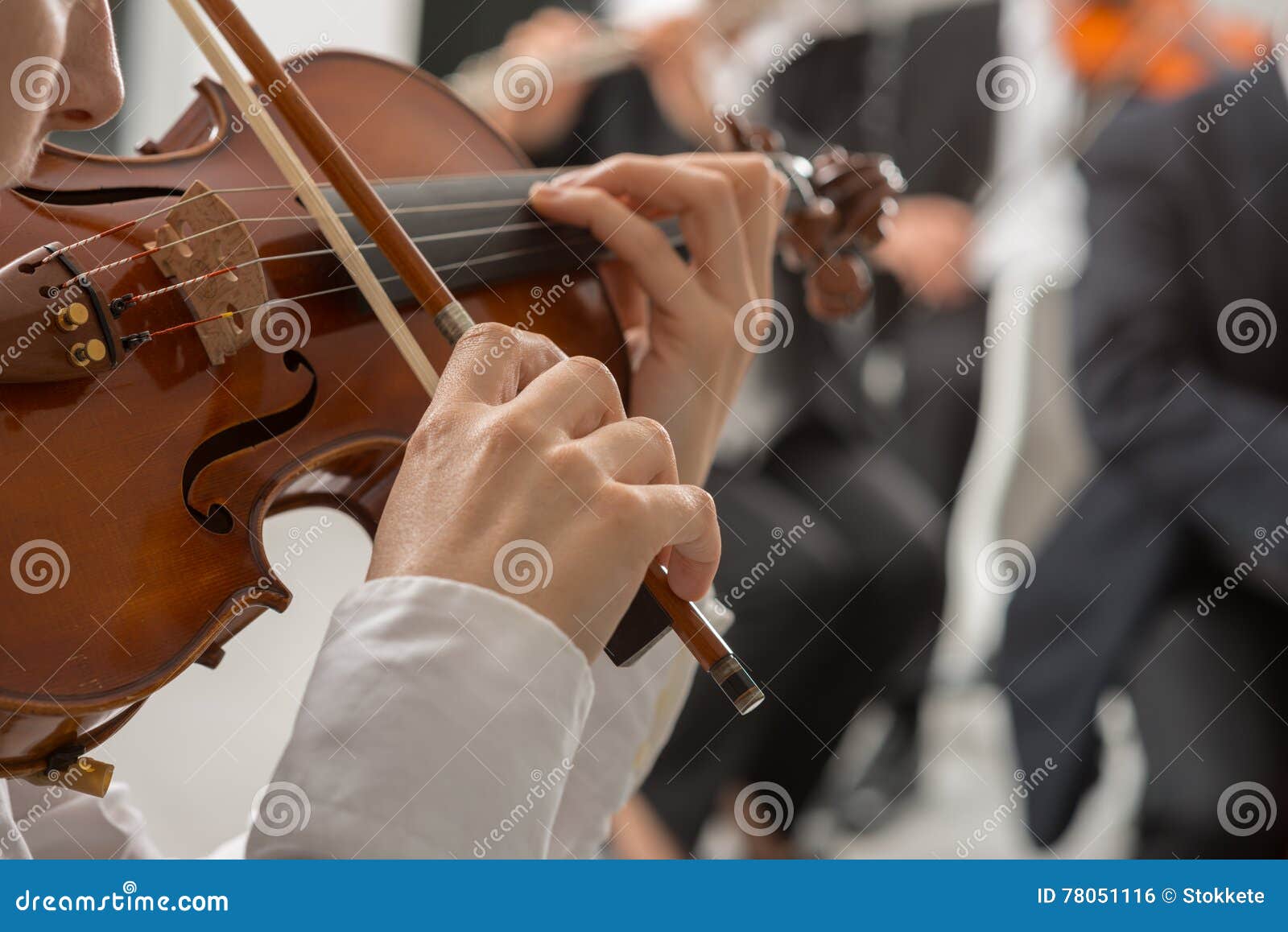 Classical Orchestra String Section Performing Stock Photo - Image of ...