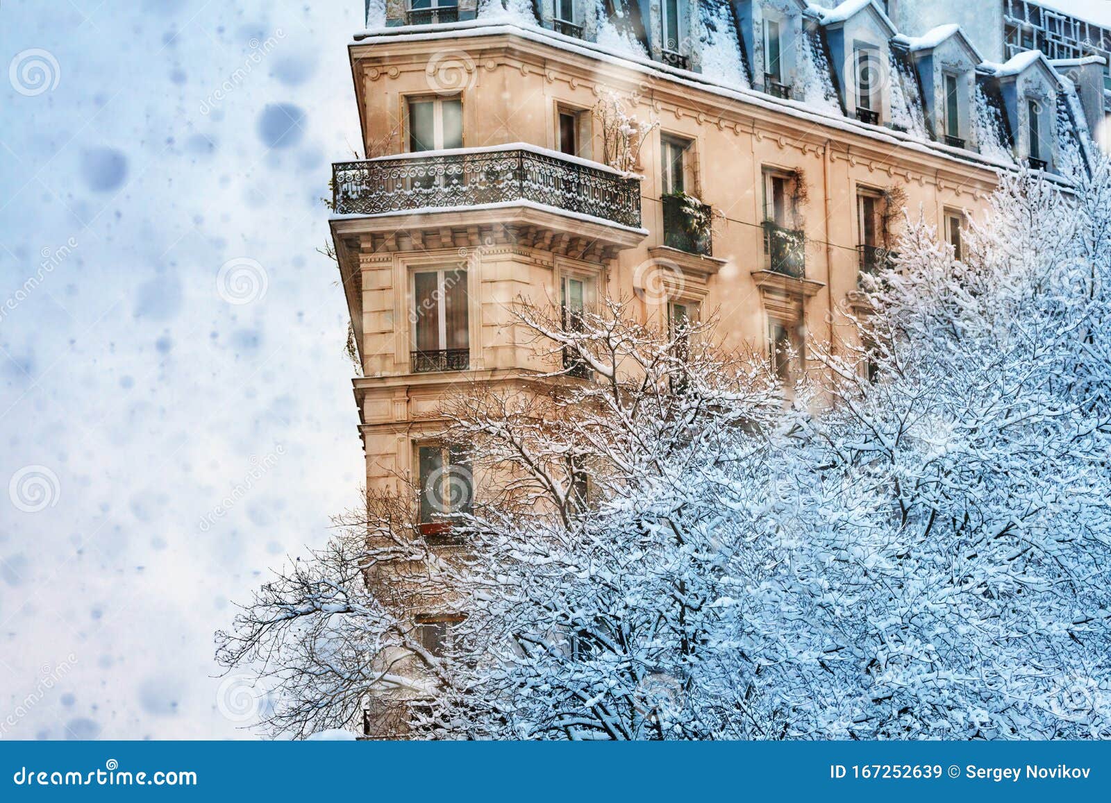 Classical Paris Haussmann Building and Snow Trees Stock Image - Image ...