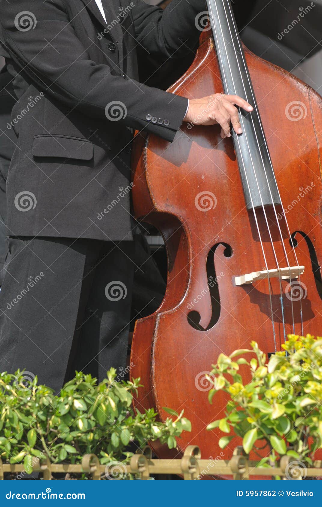 Classical performance stock photo. Image of orchestra - 5957862