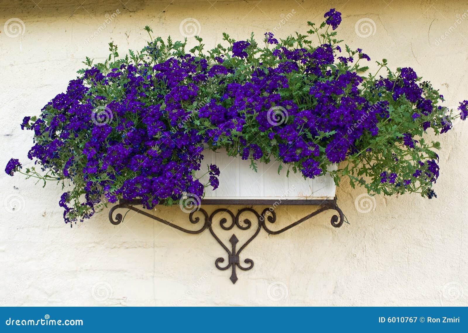 Classical Planter Flowerpot on a Bricks Wall Stock Image - Image of ...