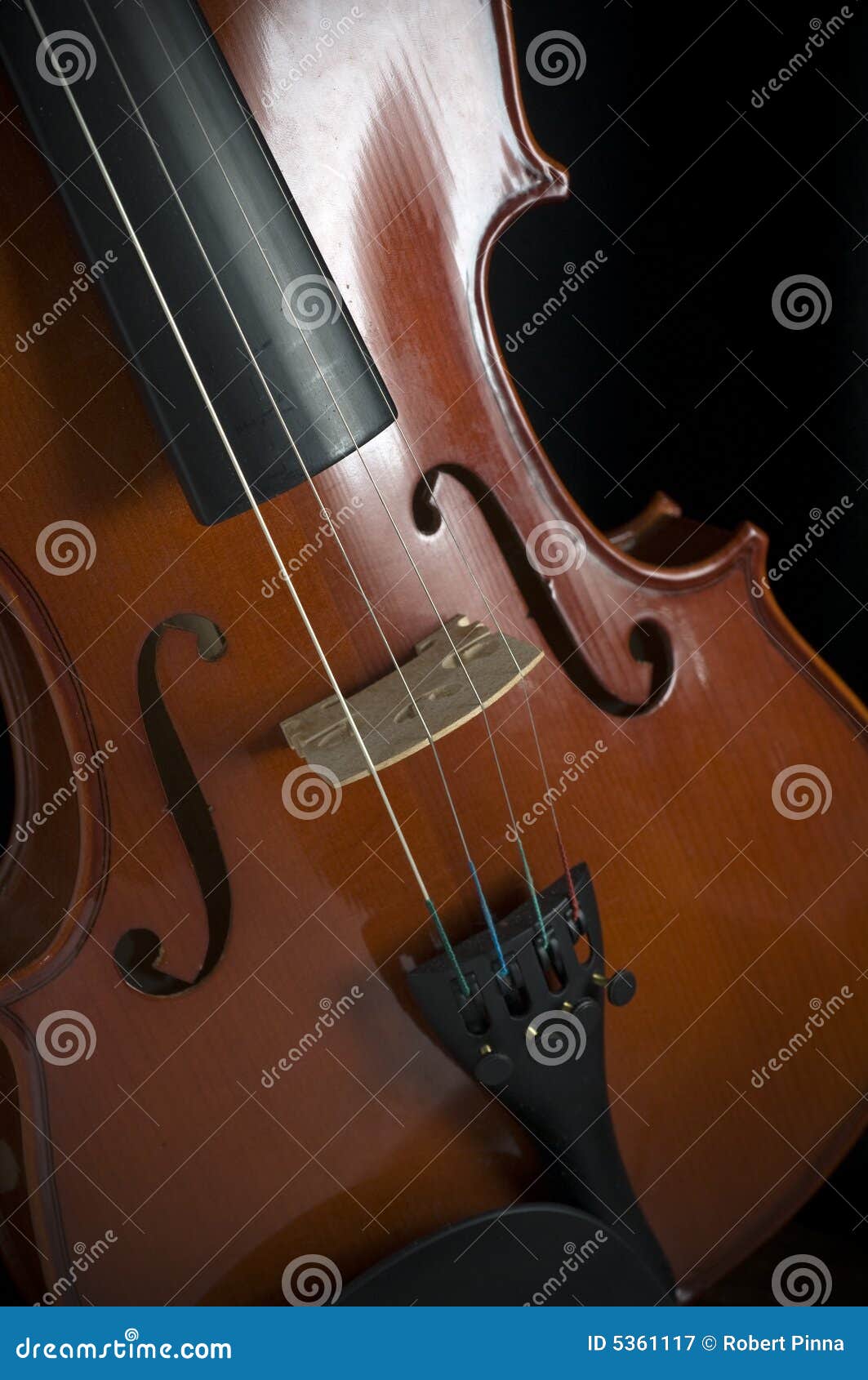 1,906 Vertical Violin Photos - Free & Royalty-Free Stock Photos from ...