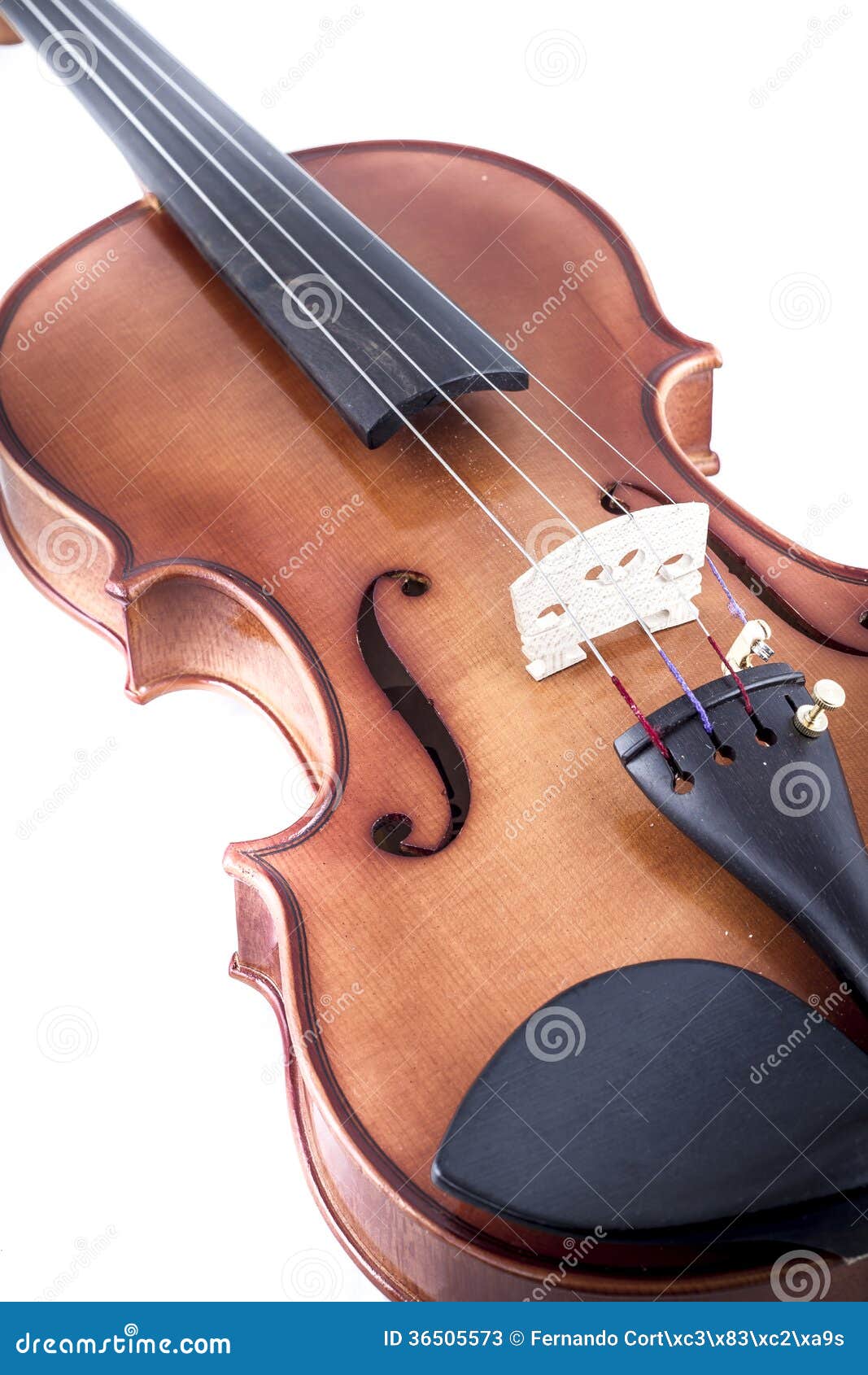 Classical, Violin Front View Isolated on White, Vintage Stock Image ...