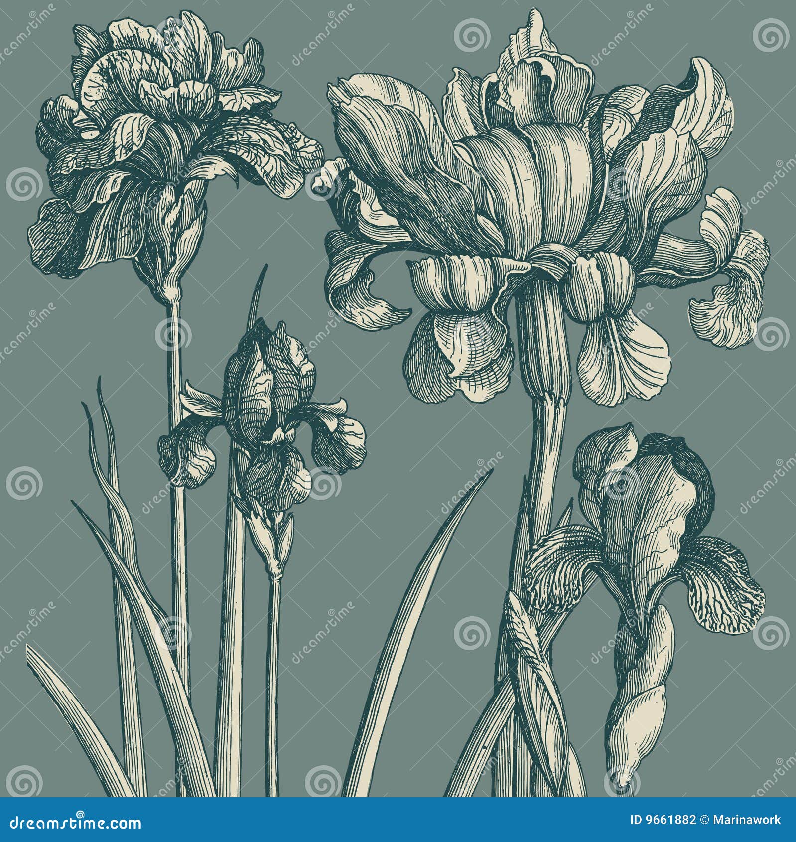 Classical Wall-paper with a Flower Pattern. Stock Vector - Illustration ...