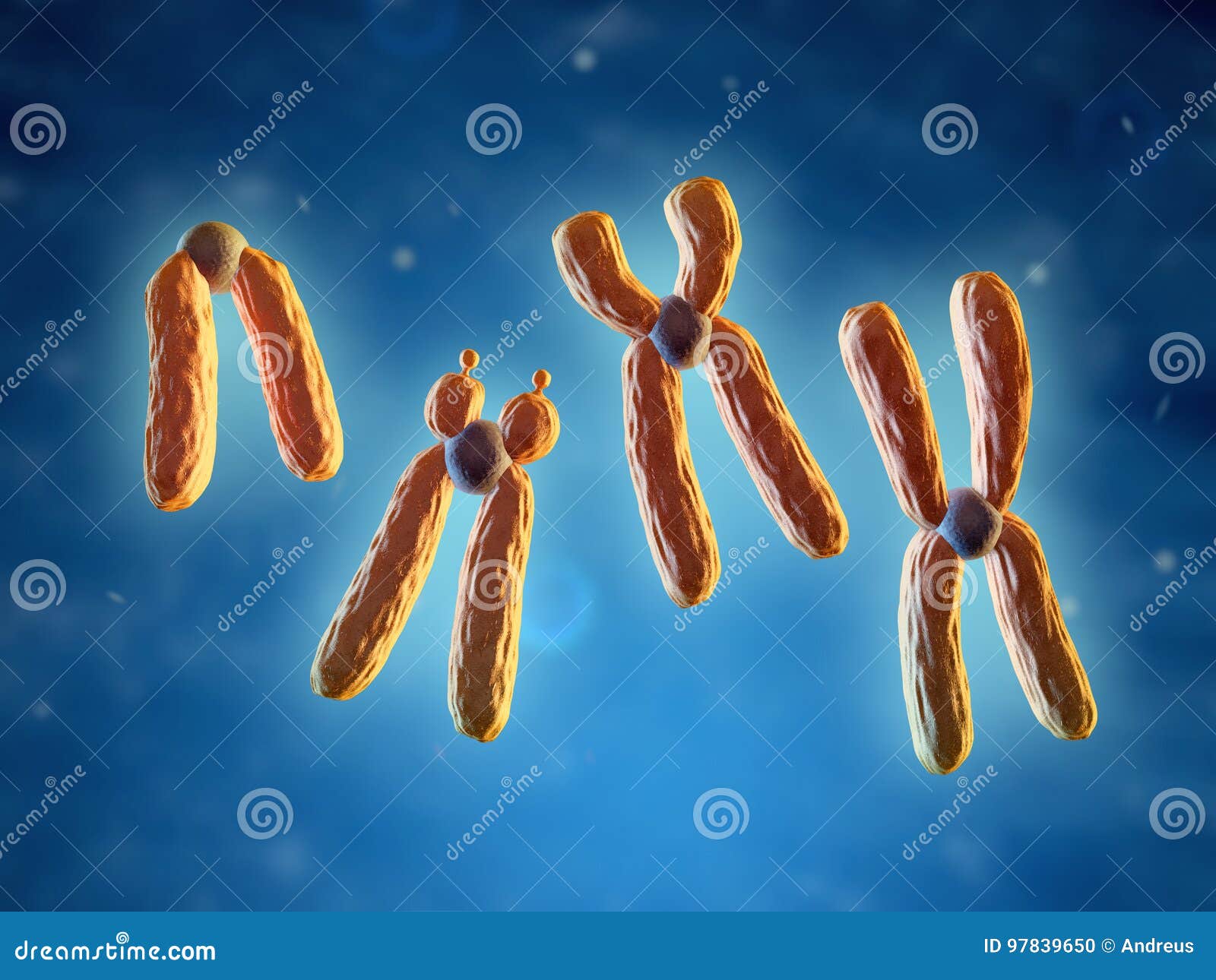 Classification of Chromosomes Stock Illustration - Illustration of ... Classification of Chromosomes Stock Illustration - Illustration of ...