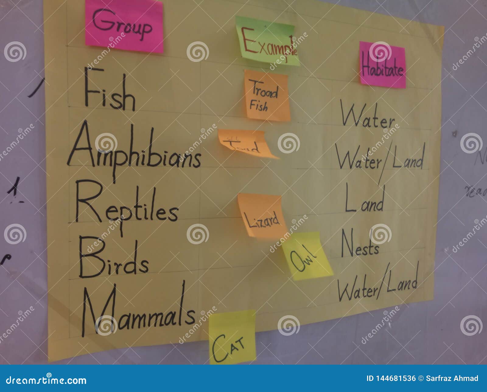 Classification Des Animaux Selon Leur Habitat Photo stock - Image du ...