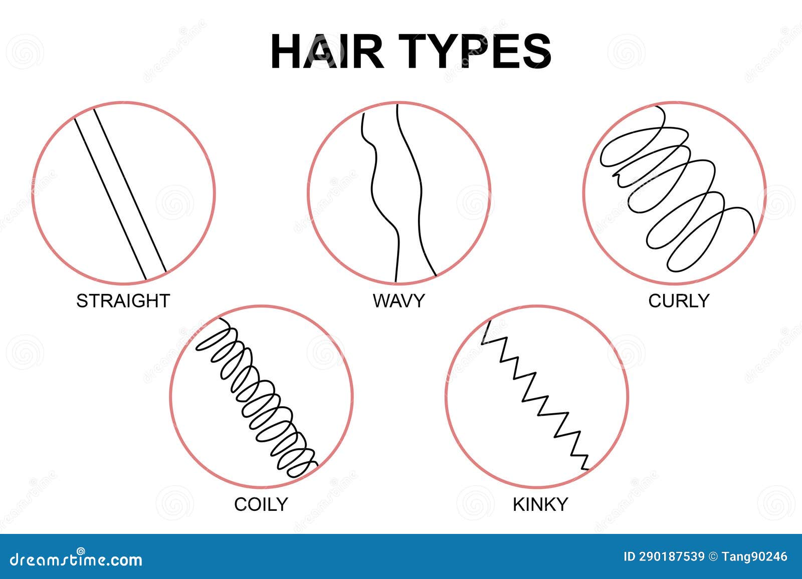 Classification Hair Types, Straight, Wavy, Curly, Coily, Kinky Stock ... Classification Hair Types, Straight, Wavy, Curly, Coily, Kinky Stock ...