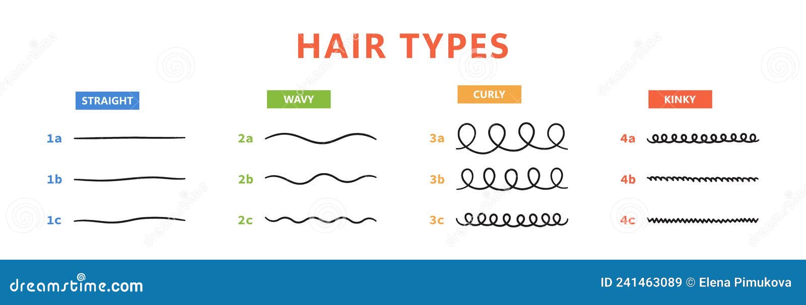 Classification Of Hair Types Straight Wavy Curly Kinky Scheme Of