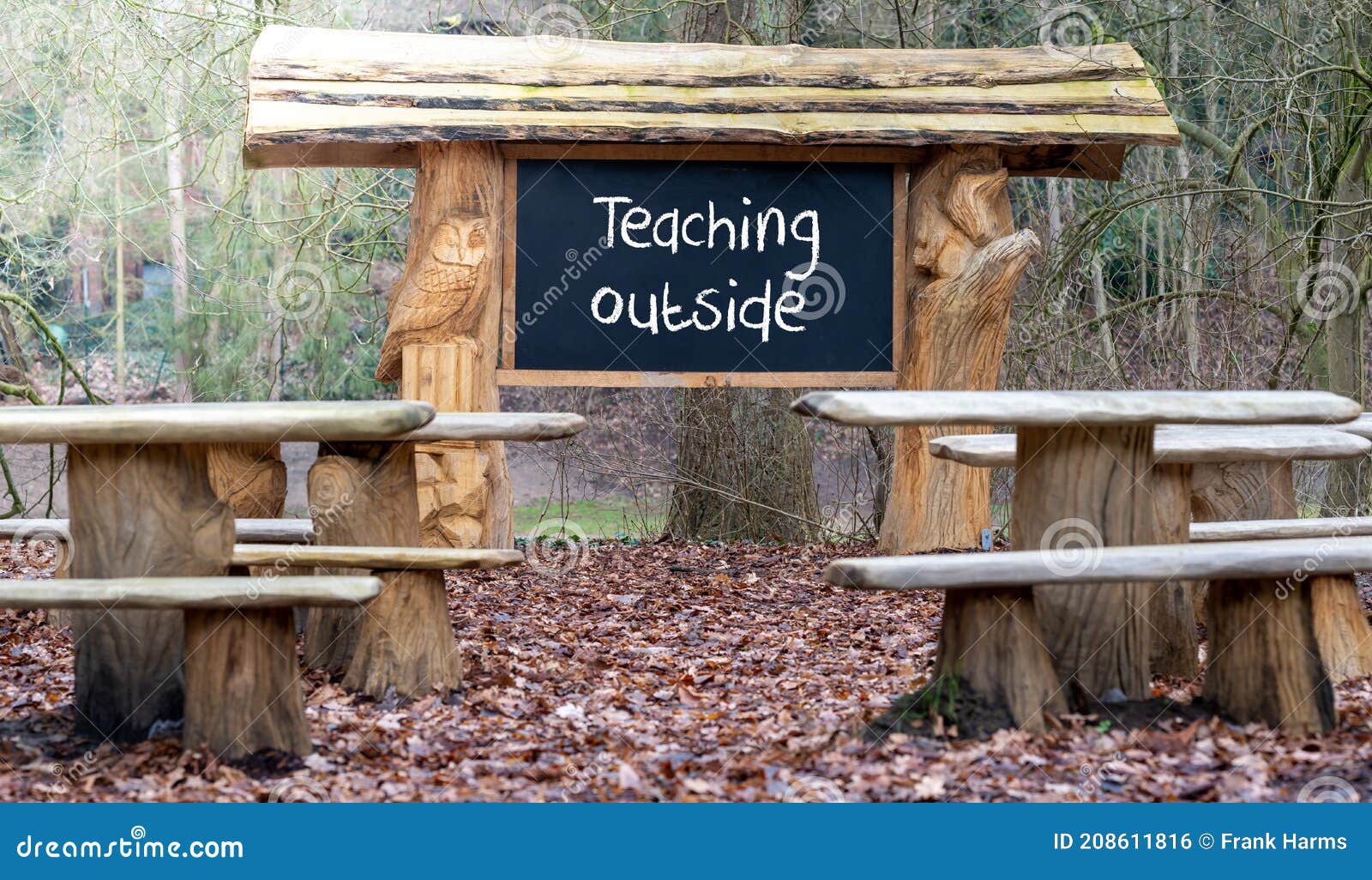 A classroom in the forest. stock photo. Image of school - 208611816