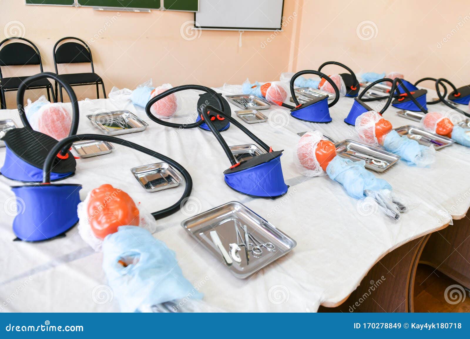 Classroom for Tracheotomy. Head for Tracheotomy Practice. Training ...