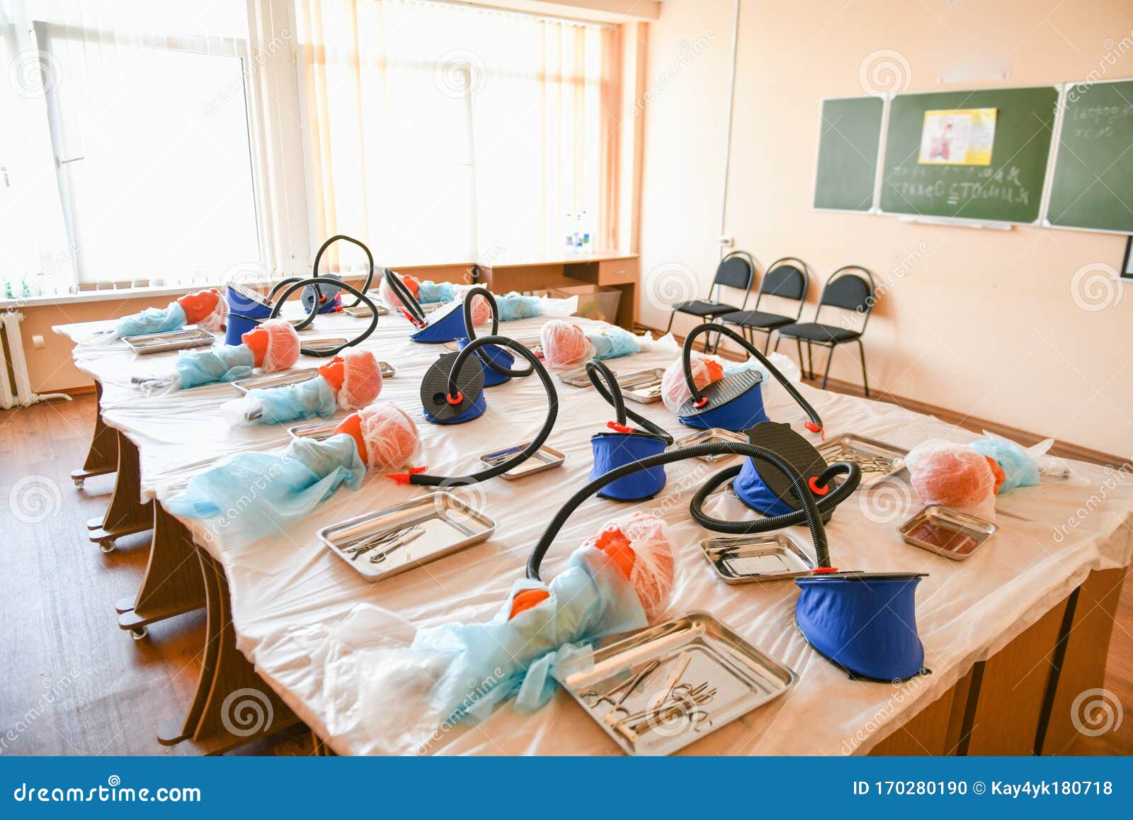 Classroom For Tracheotomy. Head For Tracheotomy Practice. Training ...
