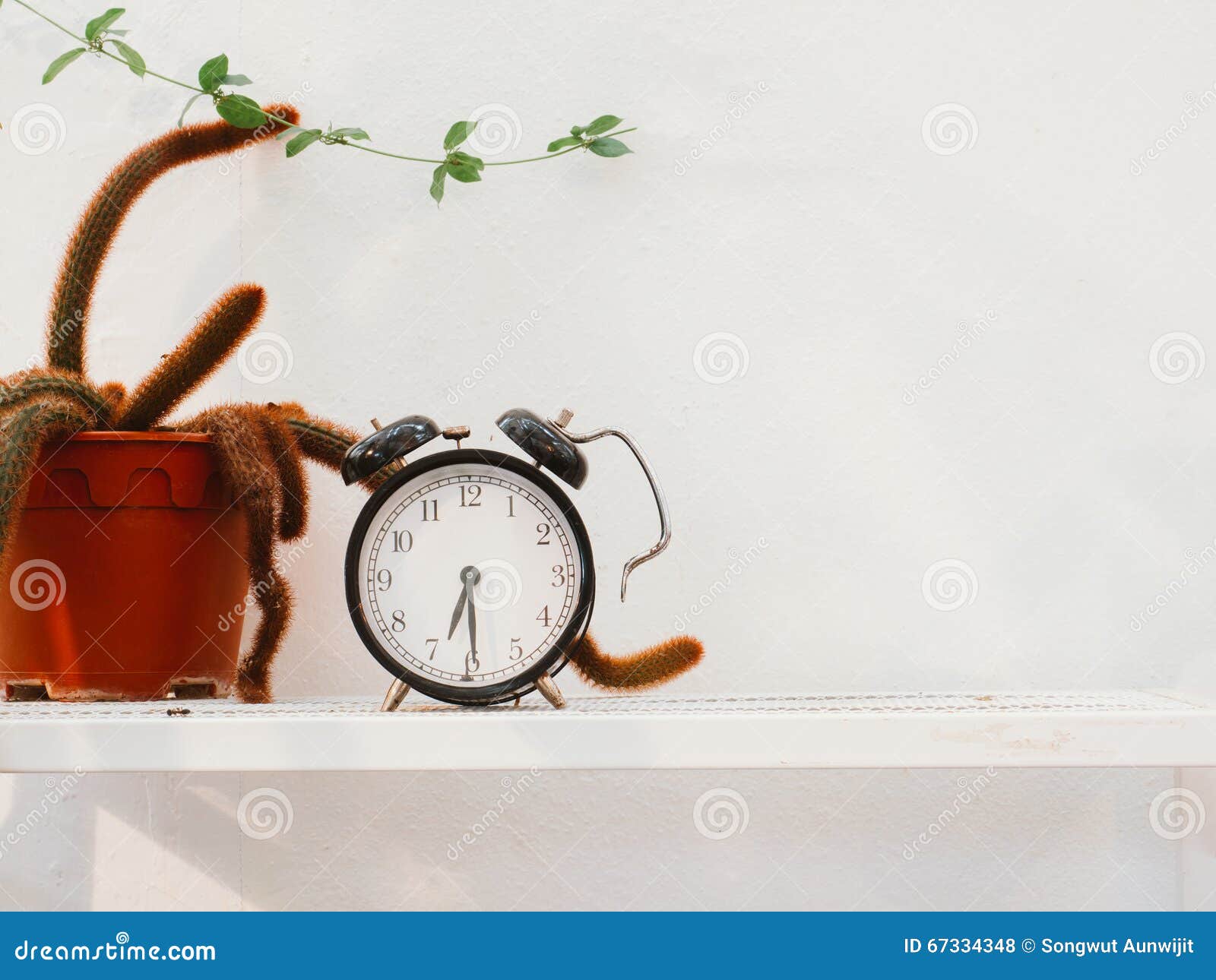 Classsic Clock on White Shelf and Cactus Pot with Concrete Wall Stock ...