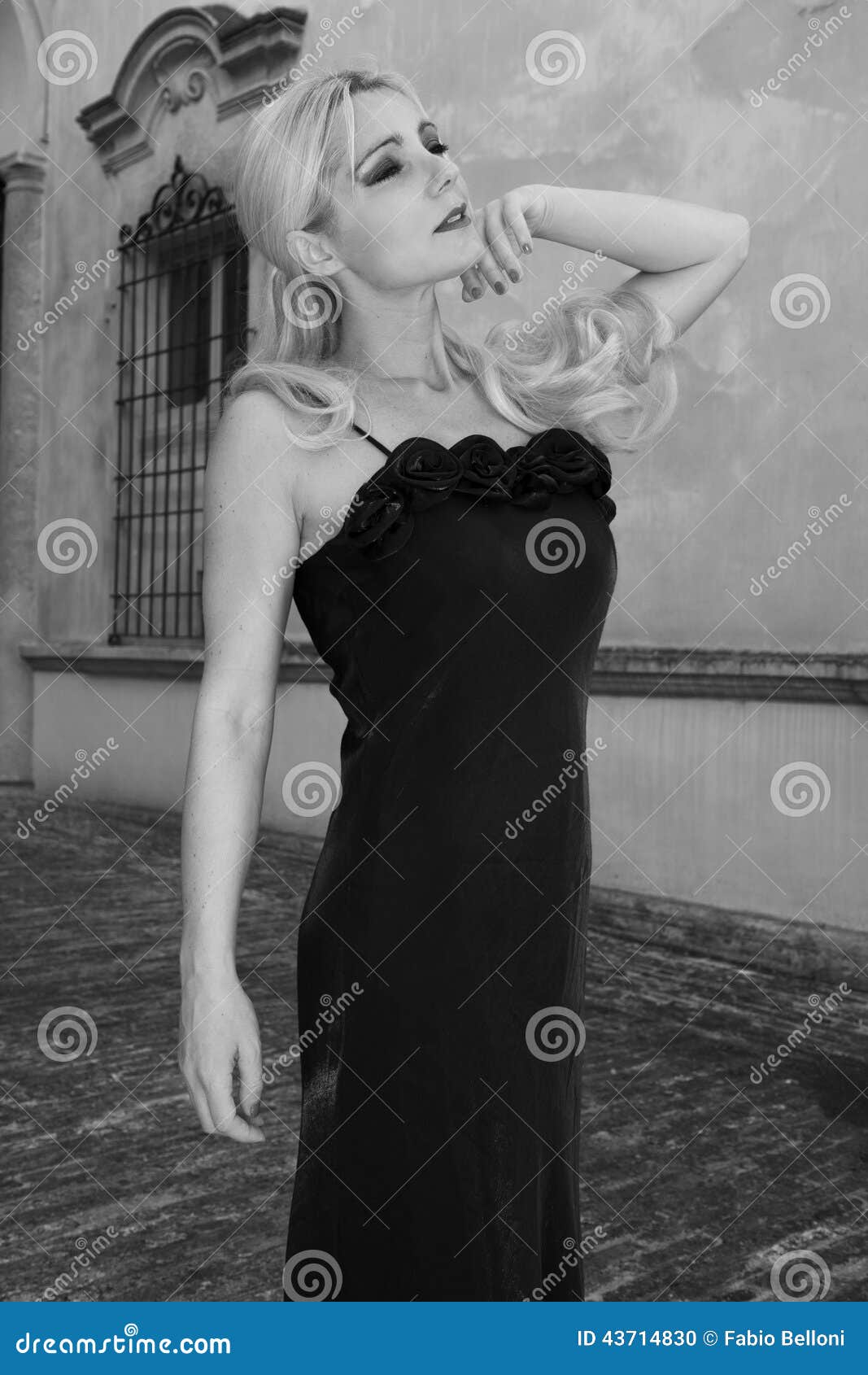 Classy Black stock photo. Image of model, portrait, caucasian - 43714830