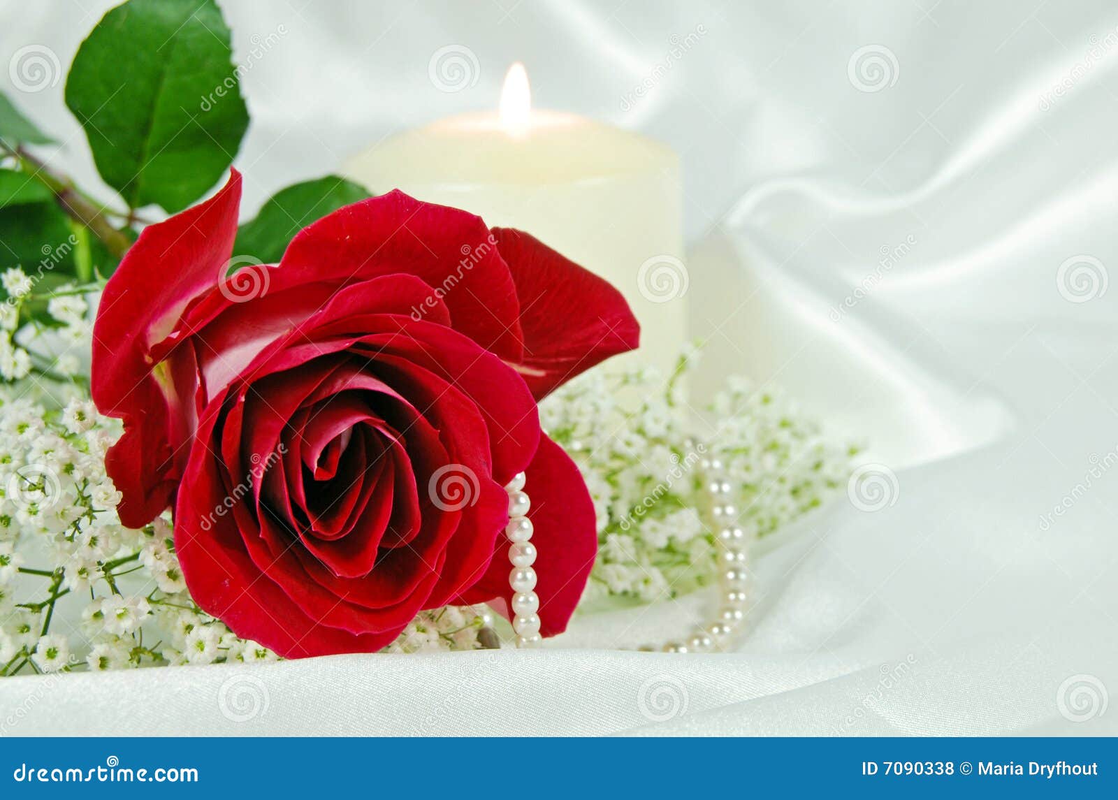 Classy Latin Lady stock photo. Image of christmas, blossom - 7090338