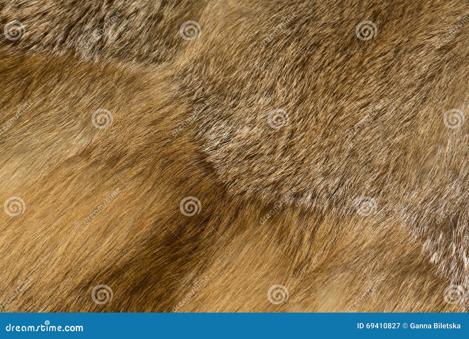 Classy Red Fox Fur, Colorful. Stock Image - Image of wild, tail: 69410827