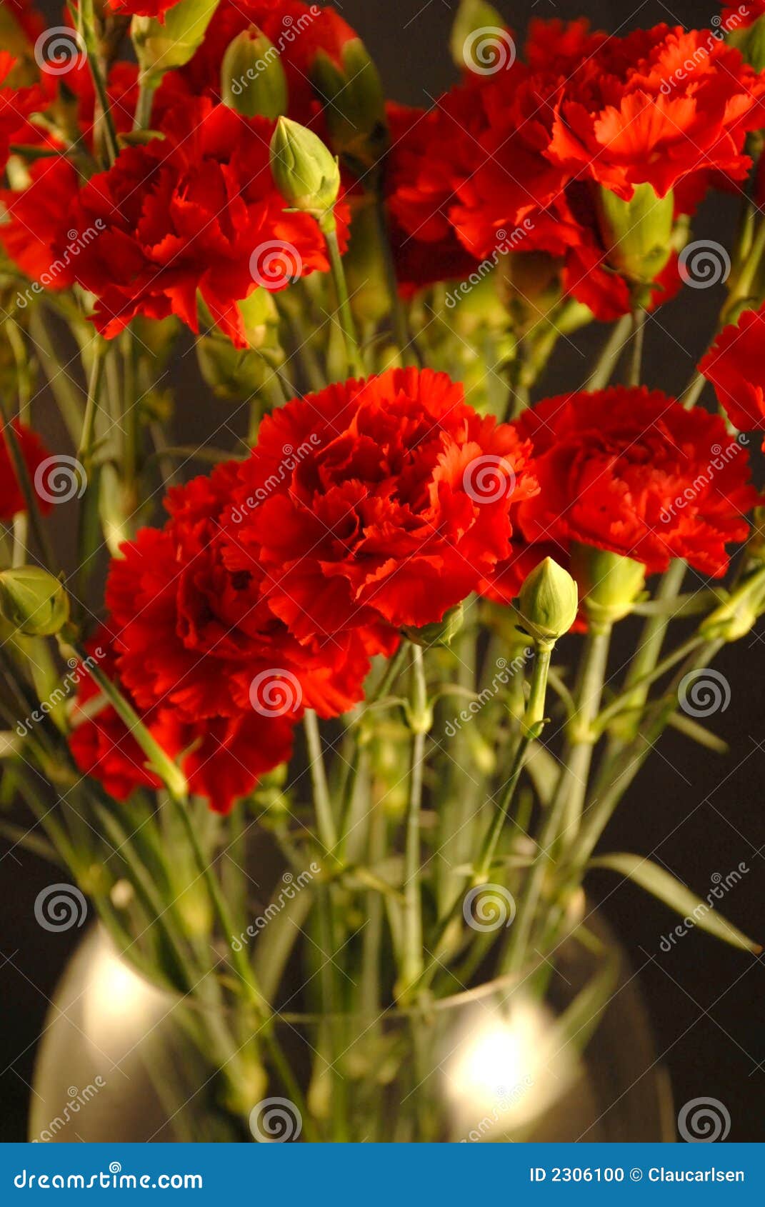 Claveles rojos foto de archivo. Imagen de ramo, florero - 2306100