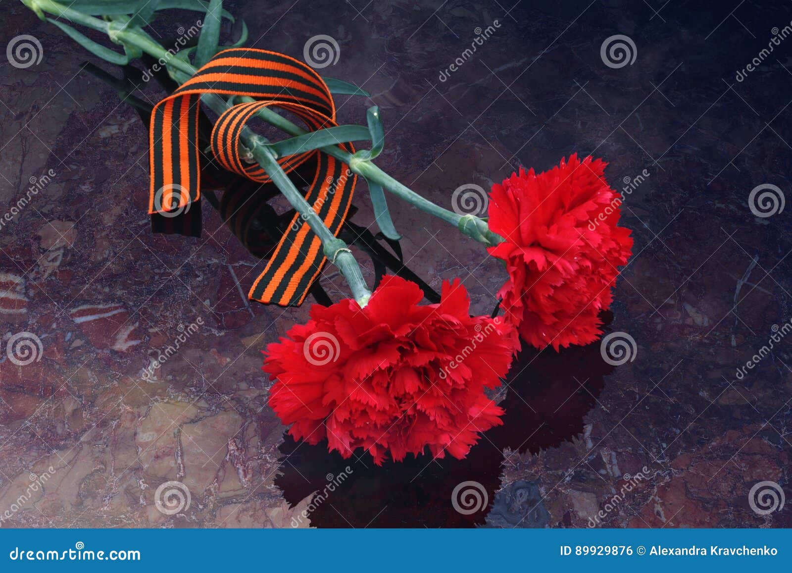 Claveles Rojos Con La Cinta De San Jorge Foto de archivo - Imagen de ...