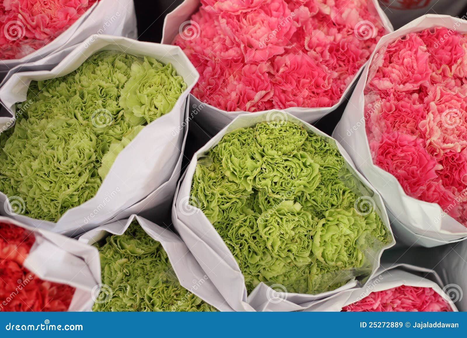 Claveles verdes y rosados imagen de archivo. Imagen de mercado - 25272889