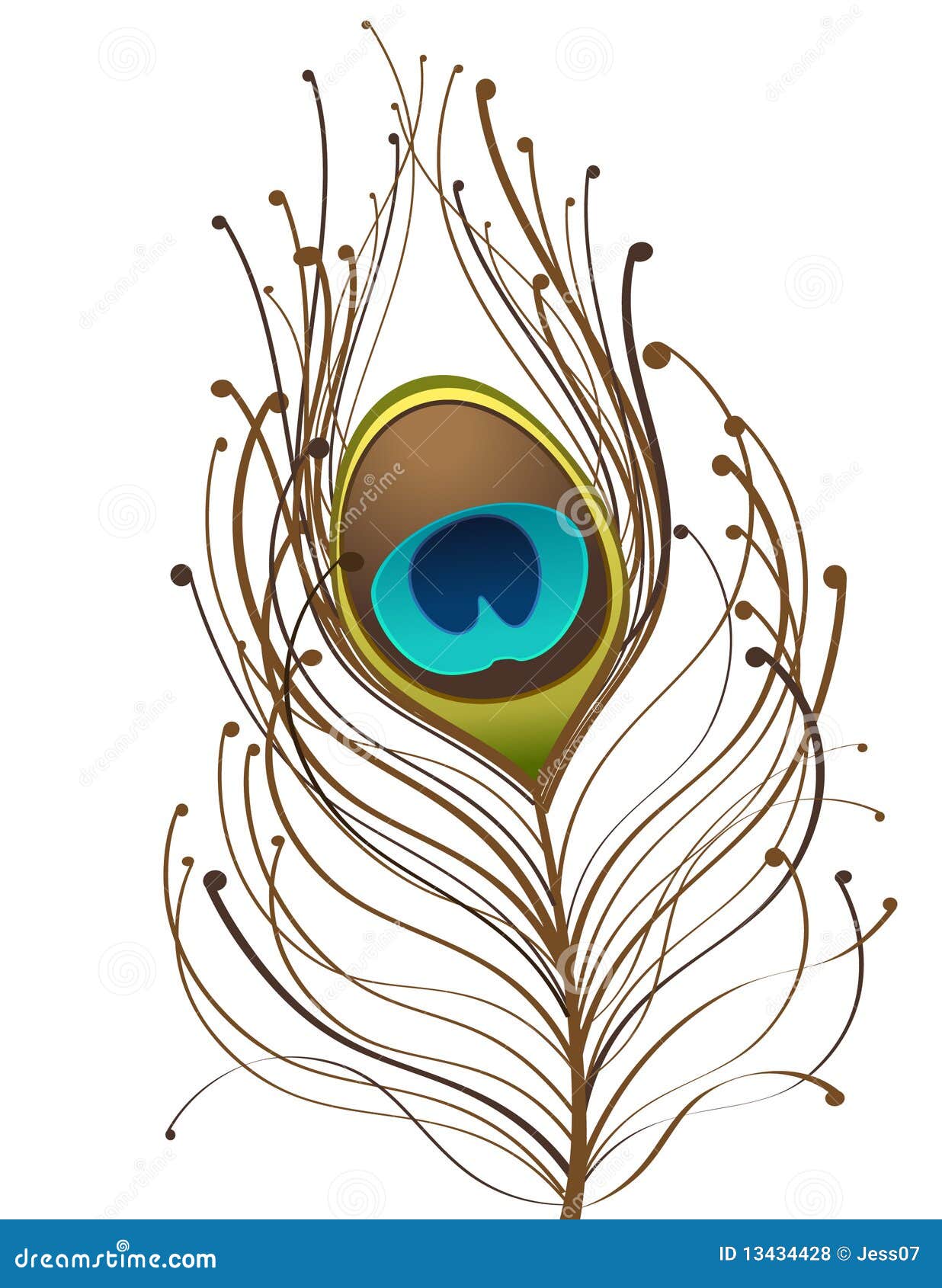 Clavette de Peackok illustration de vecteur. Illustration du isolement ...