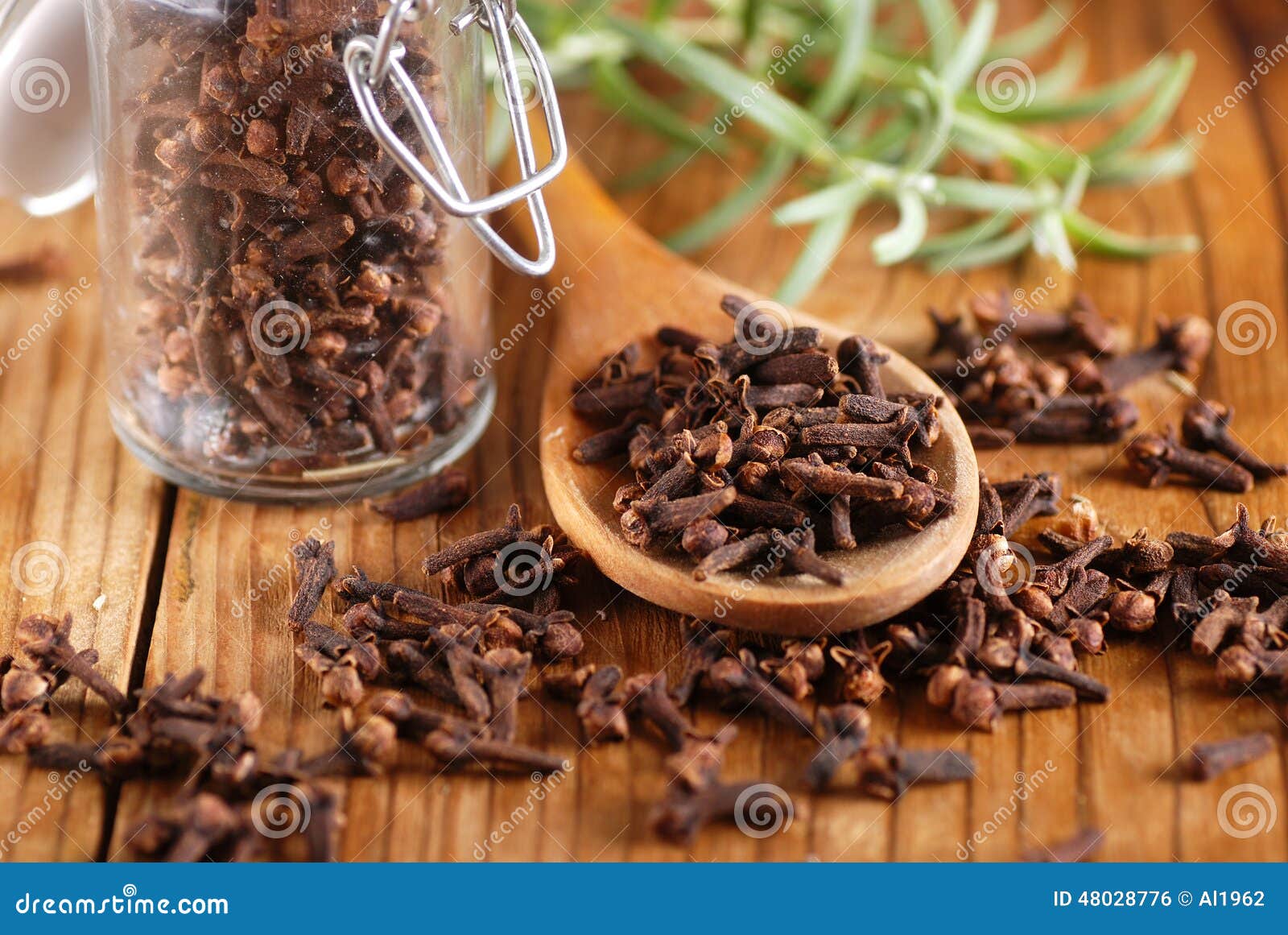 Clavos en la cuchara foto de archivo. Imagen de ingrediente - 48028776