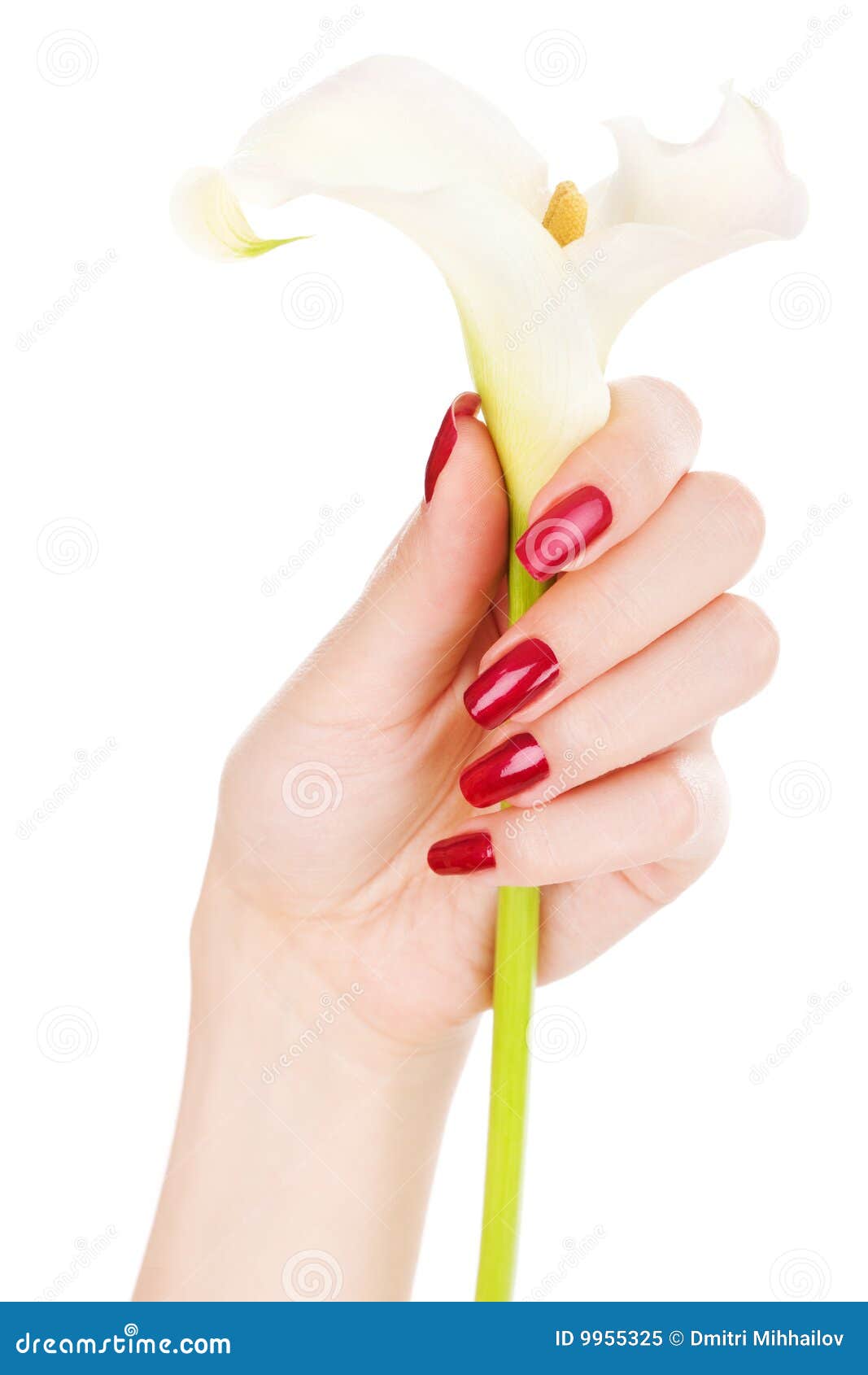 Clavos y dedos hermosos imagen de archivo. Imagen de limpio - 9955325