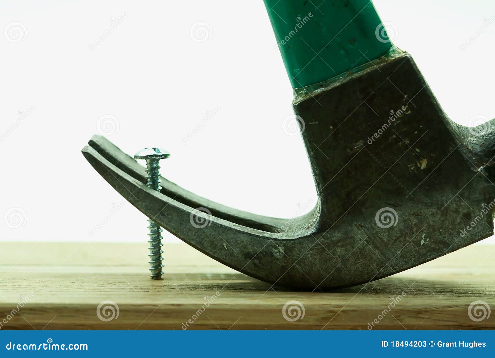 Claw Hammer Trying To Remove from Wood Stock Image - Image of hammer ...