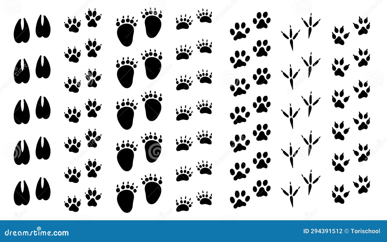 Claw and paw marks animals stock vector. Illustration of footprint ...