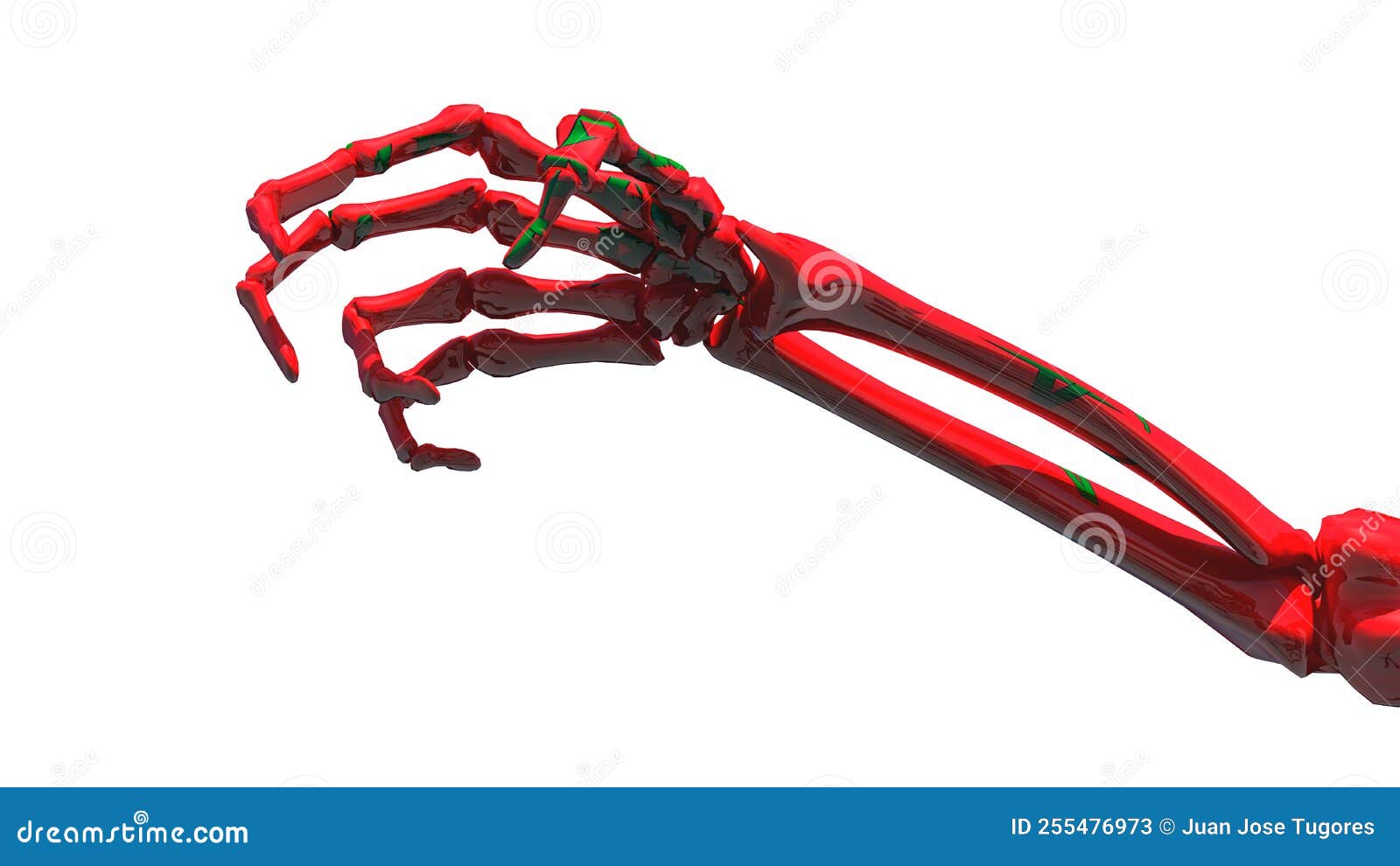 Claw-shaped Skeleton Hand with the Colors of the Flag Stock ...