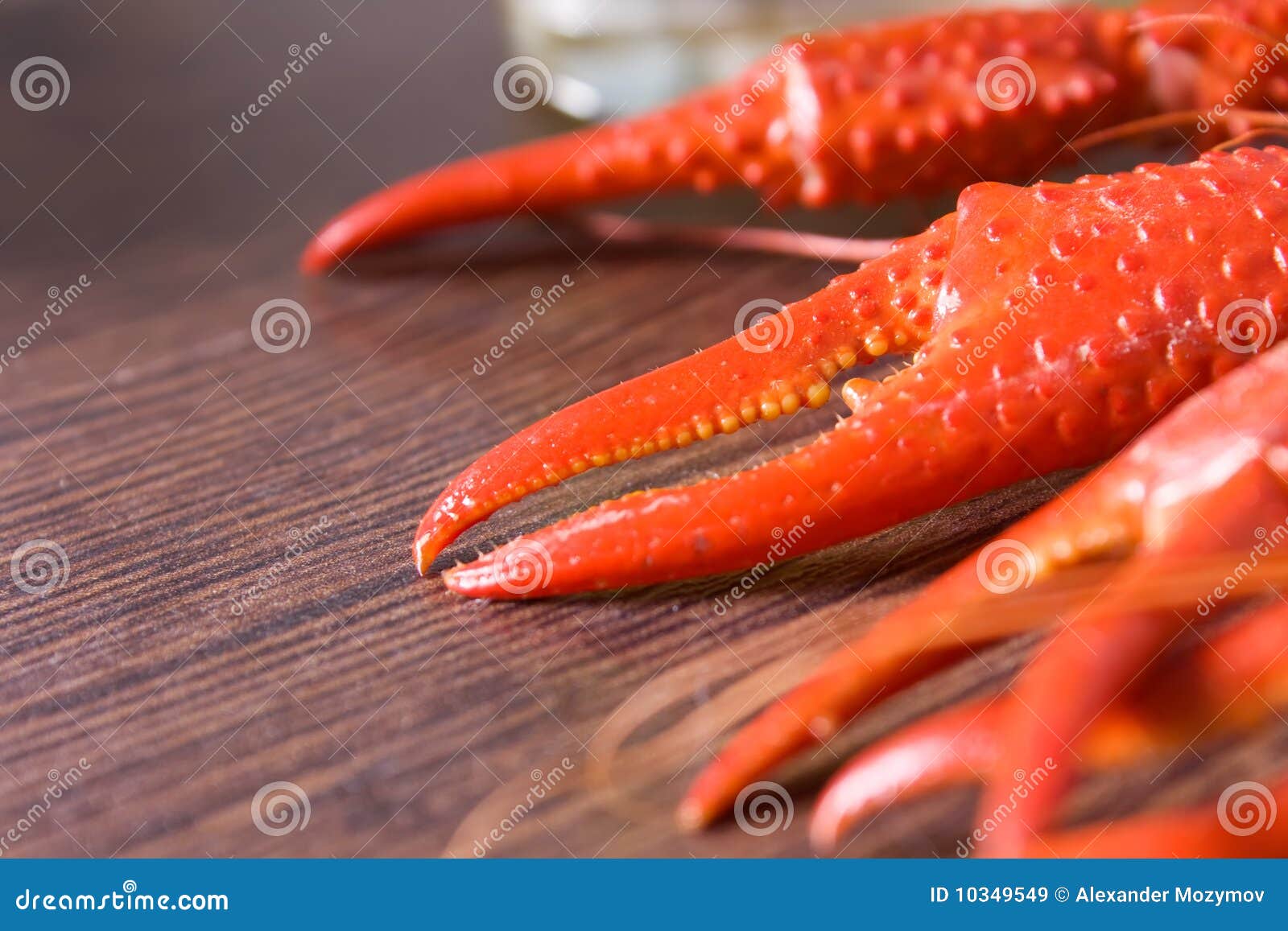 Claws of a crayfish stock image. Image of arthropod, crayfish - 10349549