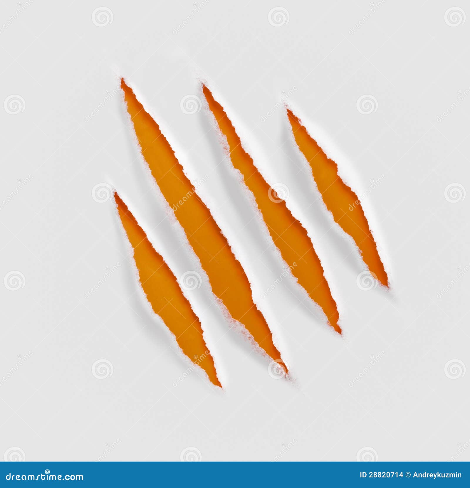 Claws Scratches or Wound on Paper Background Stock Photo - Image of ...