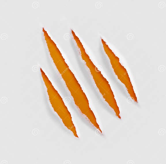 Claws Scratches or Wound on Paper Background Stock Photo - Image of ...