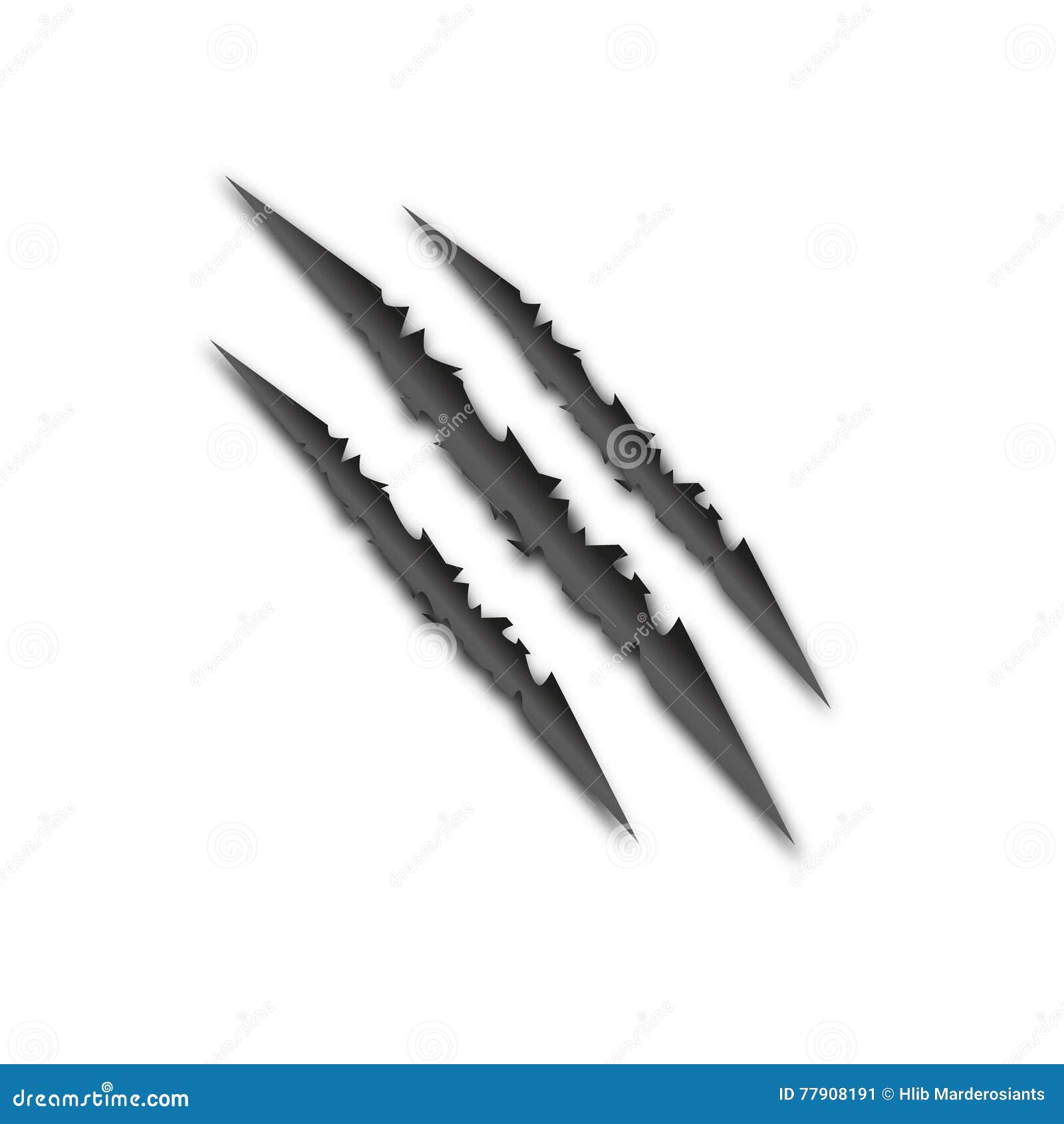 The Claws of a Wild Animal Isolated. Beautiful Scar Stock Illustration ...