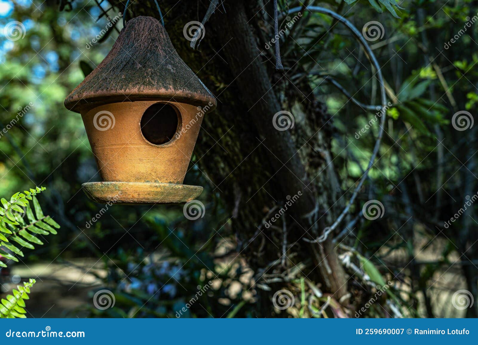Clay bird house. stock image. Image of hanging, nature - 259690007