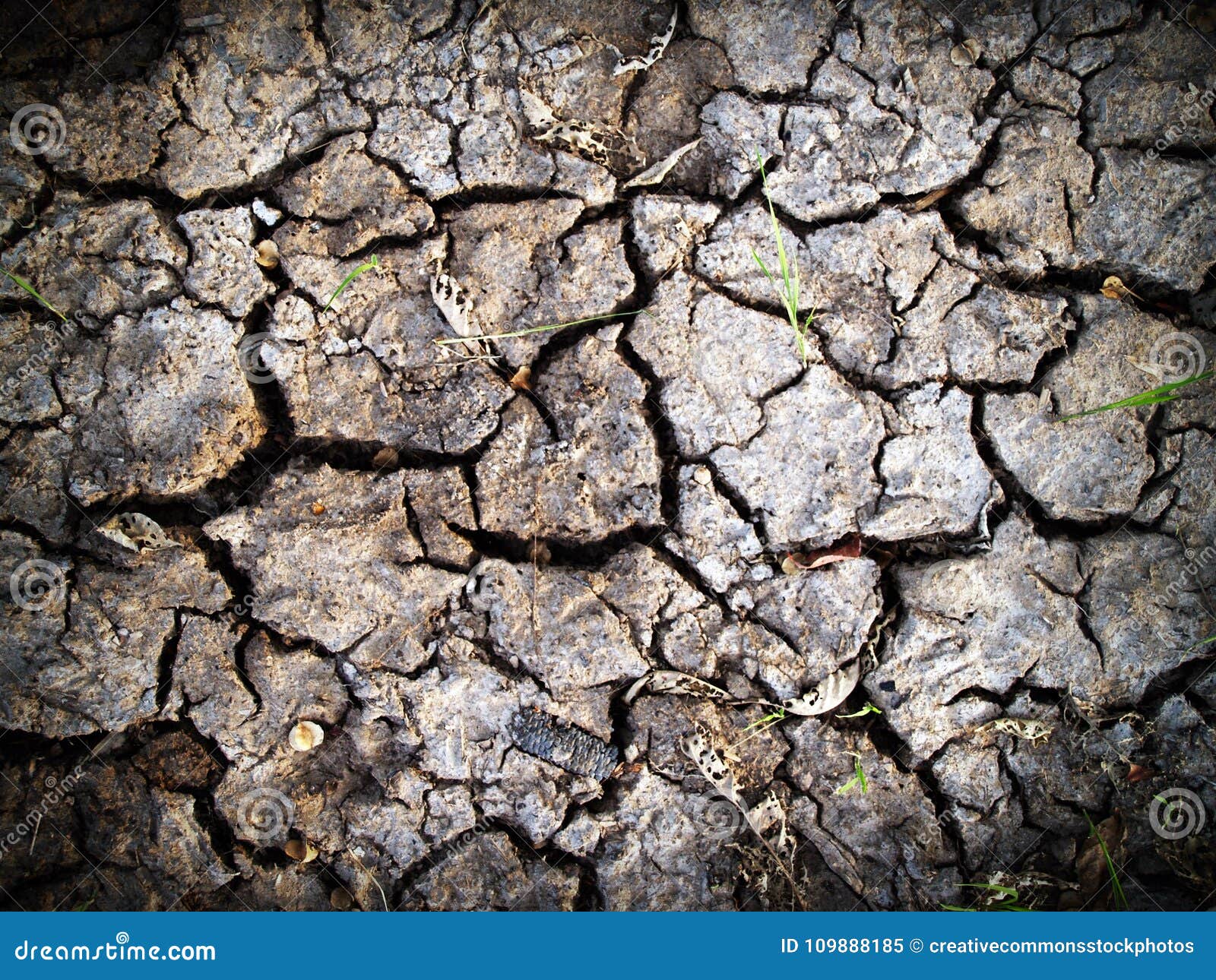 Clay, Close-up, Cracks Picture. Image: 109888185