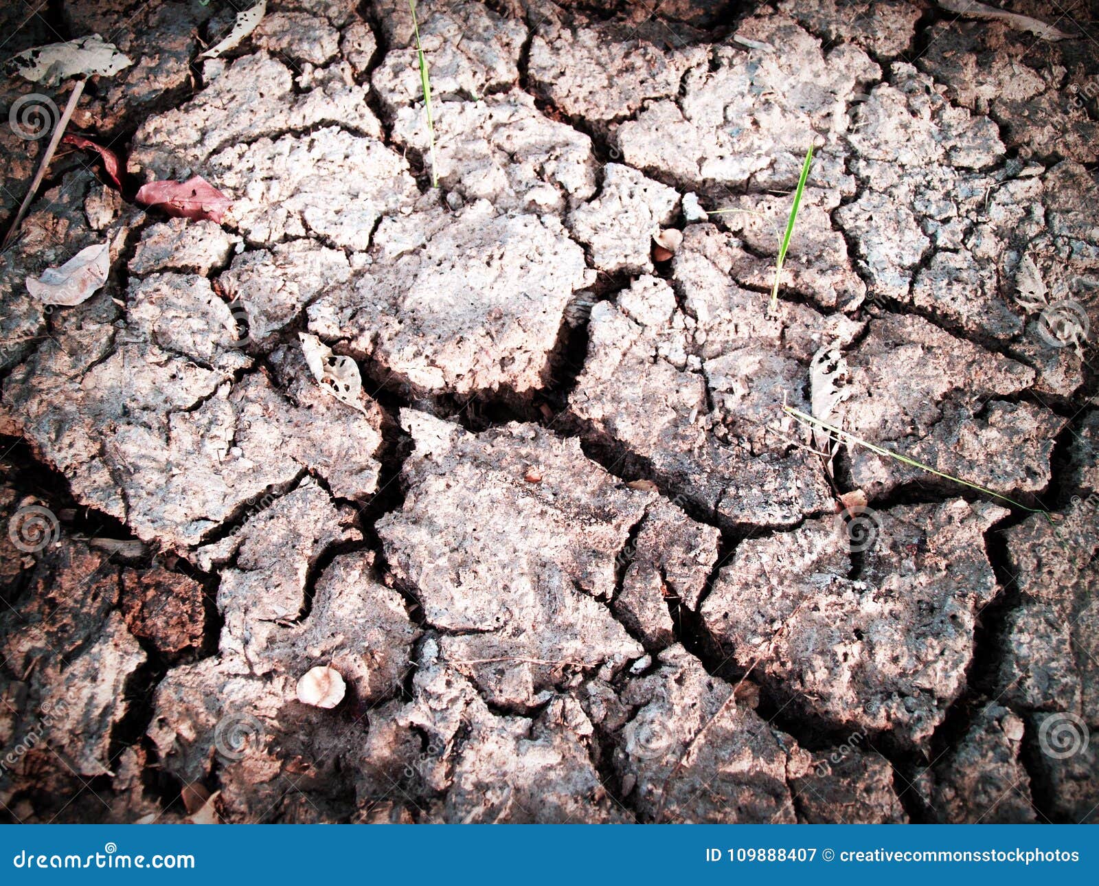 Clay, Close-up, Cracks Picture. Image: 109888407
