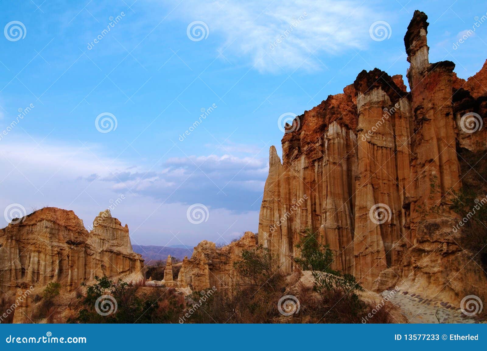Clay forest stock image. Image of krantz, cliff, autochthonism - 13577233