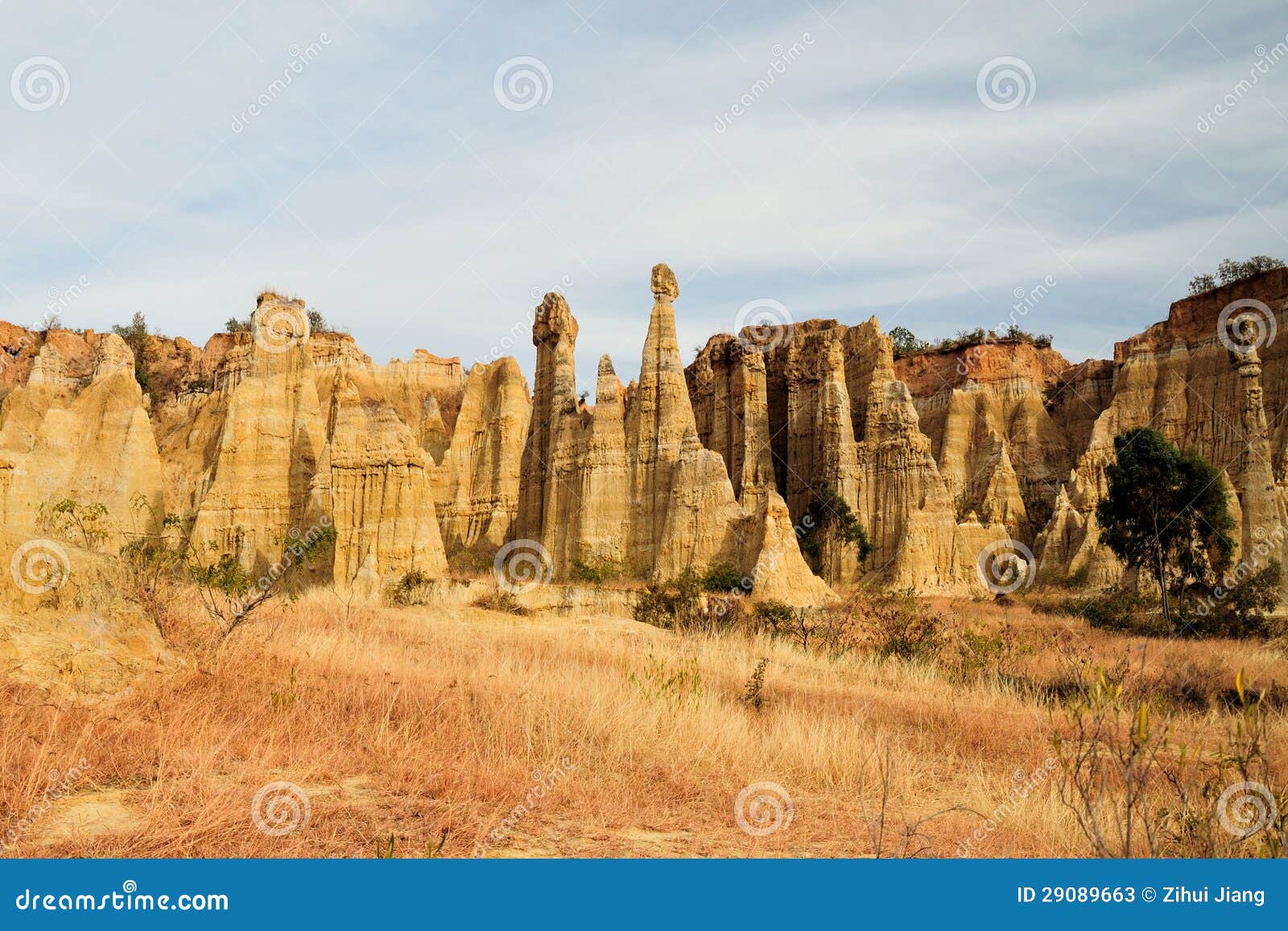 Clay forest stock image. Image of field, desert, forest - 29089663