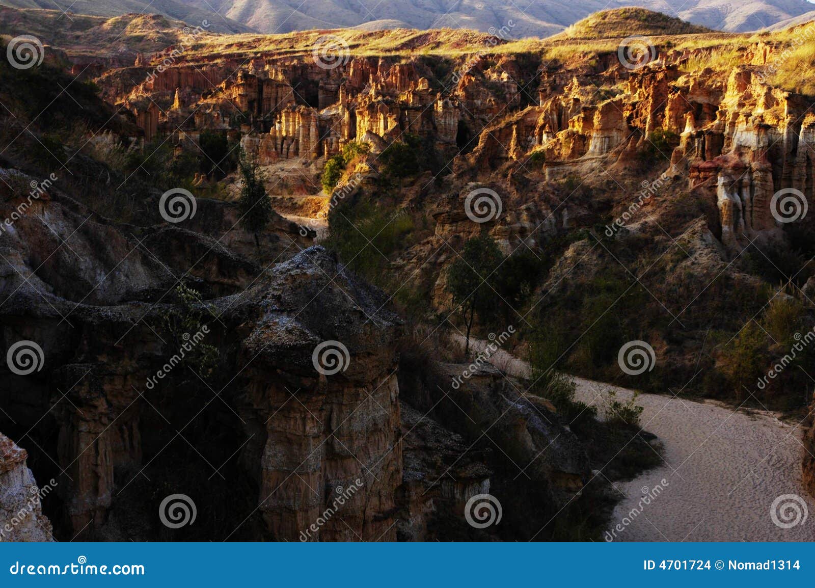 Clay Forest stock photo. Image of escarpmetnt, crack, masterpiece - 4701724