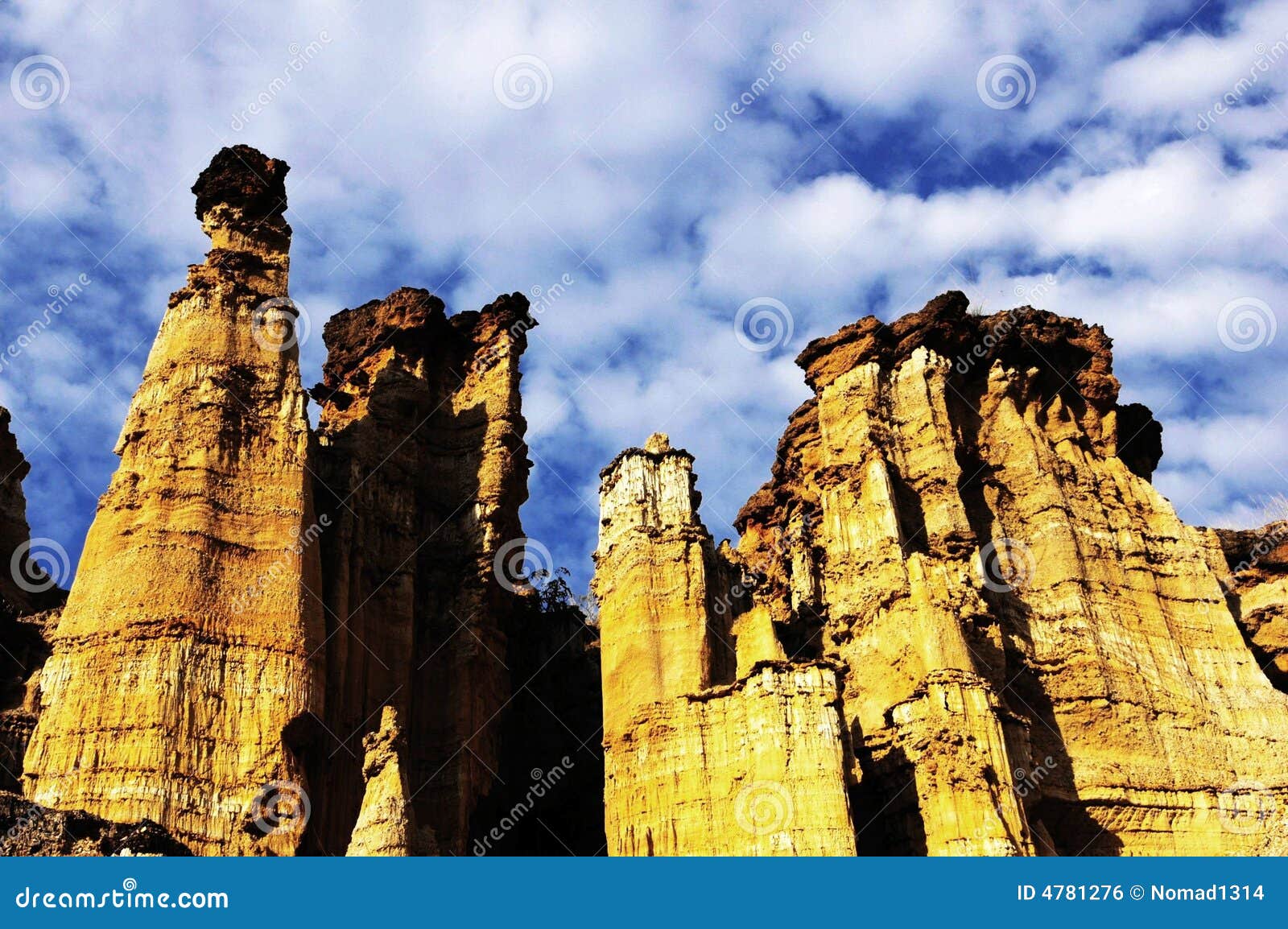 Clay Forest stock photo. Image of calligraphic, animism - 4781276