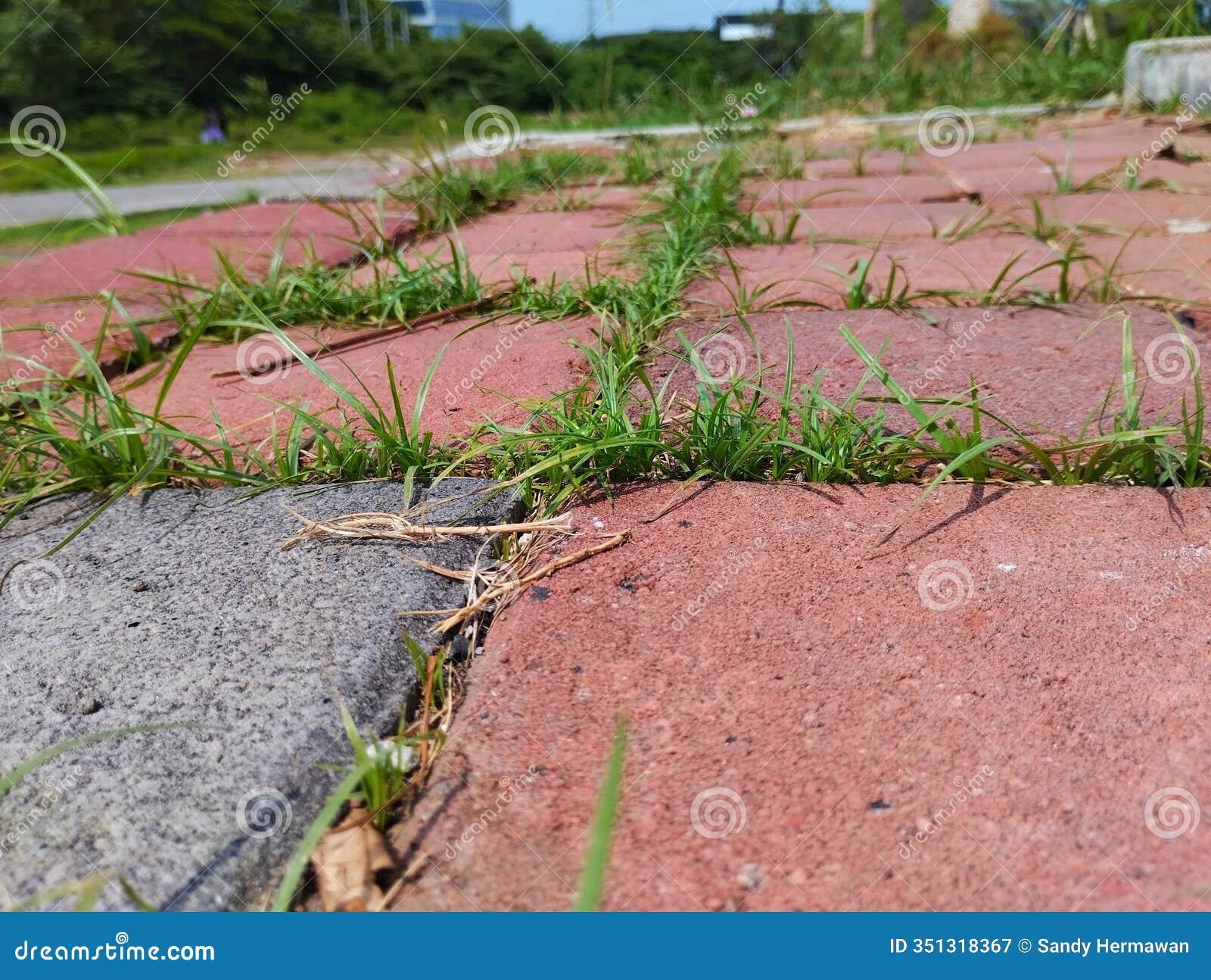 Clay grass stock image. Image of paving, dirt, concrete - 351318367