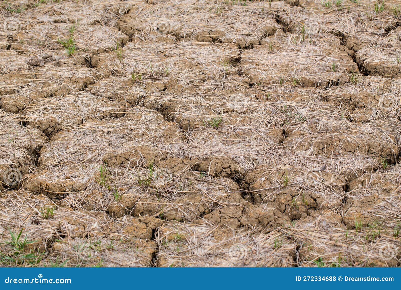 Clay Ground Desert Texture, Dry Cracked Earth Background. Global ...