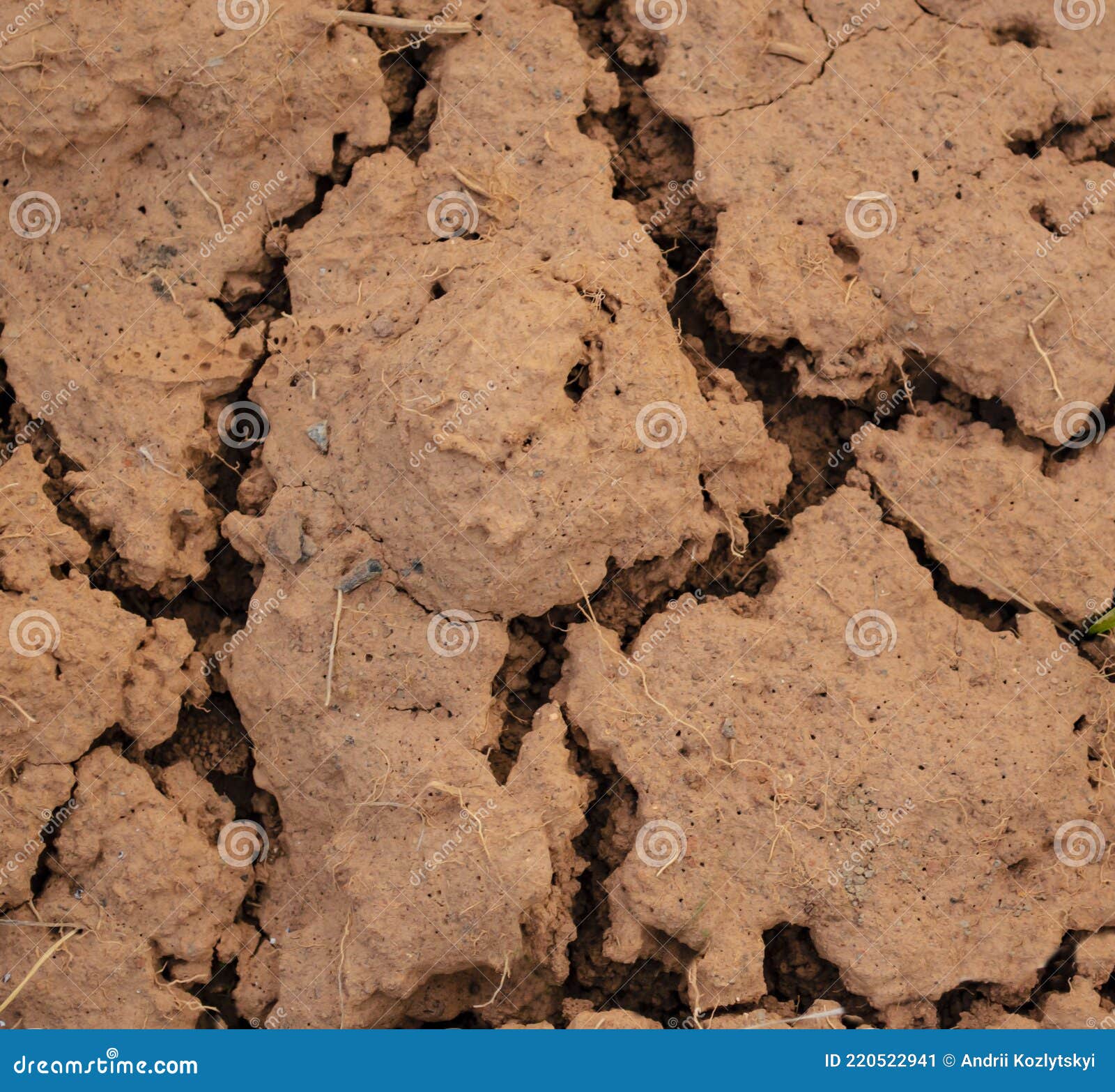 The Clay Ground Has Cracks in the Top View for the Background or ...