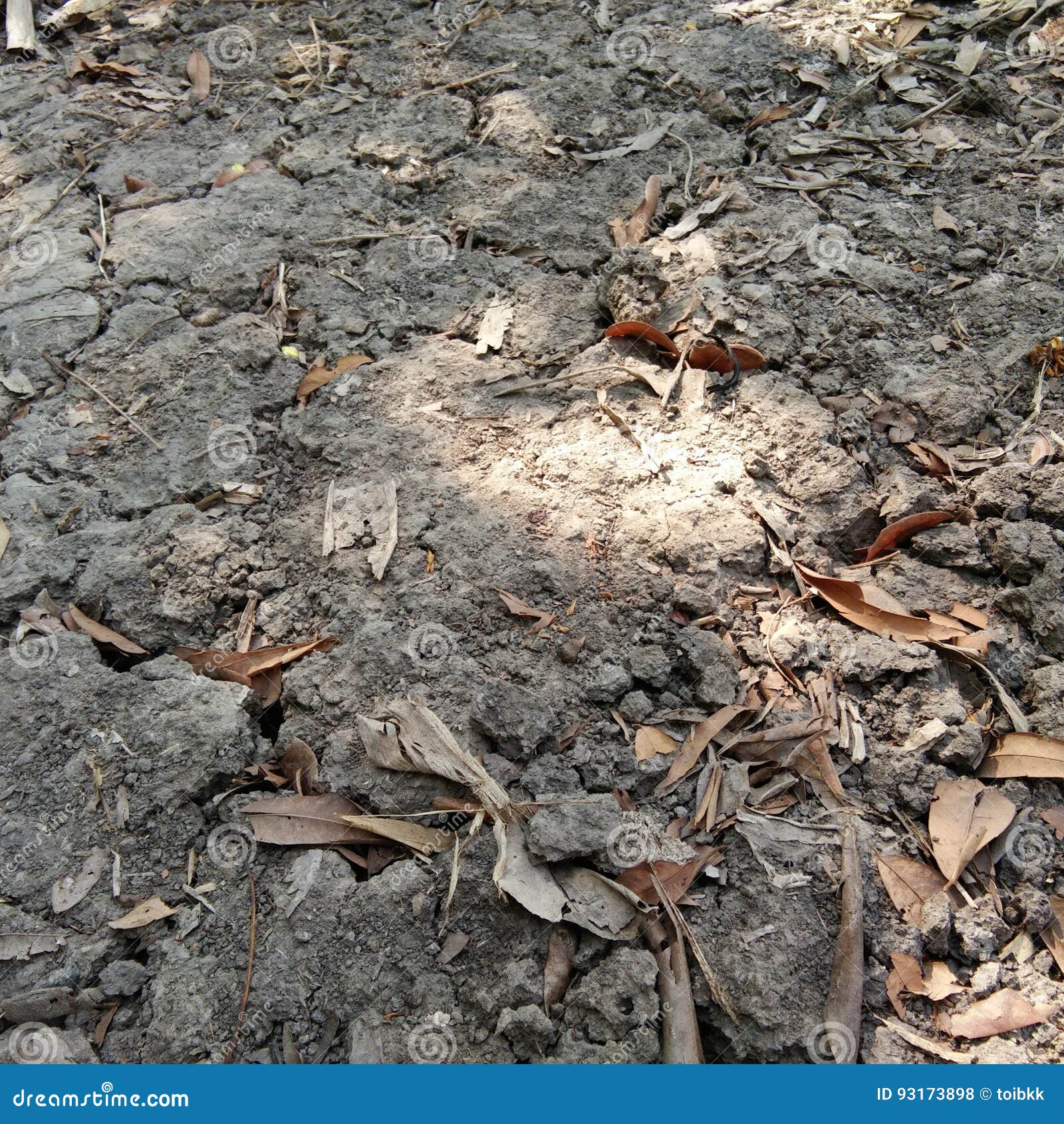 Clay ground surface stock photo. Image of pattern, banana - 93173898