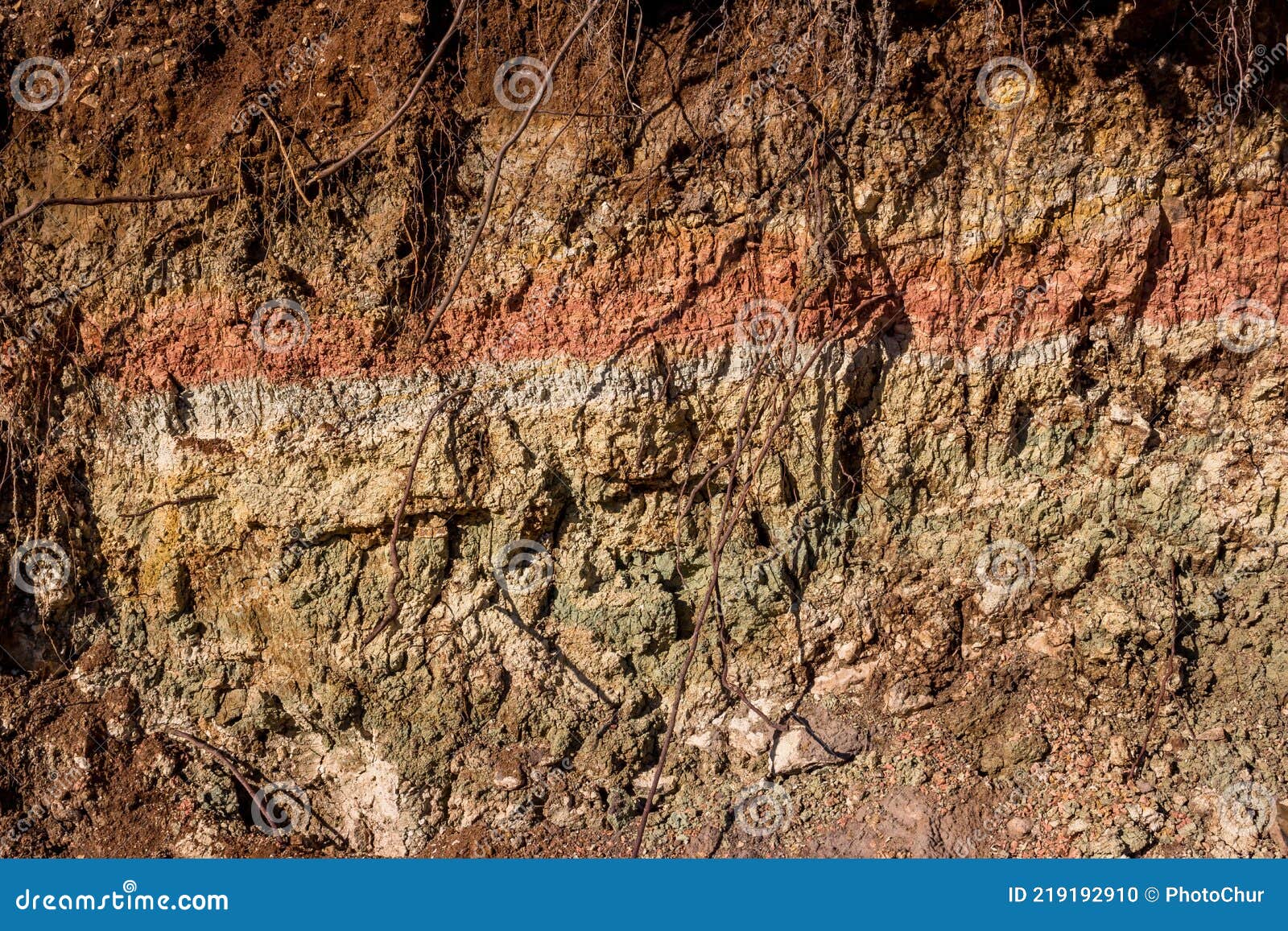 Folded Layers Rock Formations In Risnjak, Croatian National Park. Stock ...