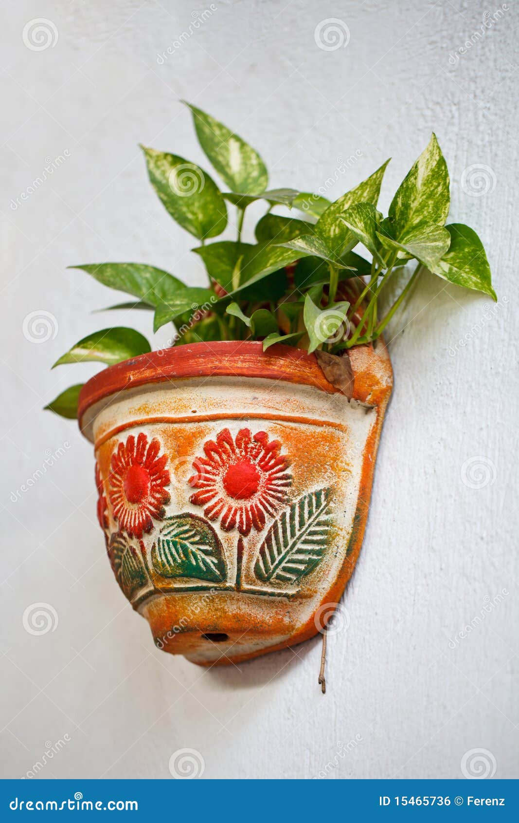 Clay pot stock photo. Image of white, closeup, flora - 15465736