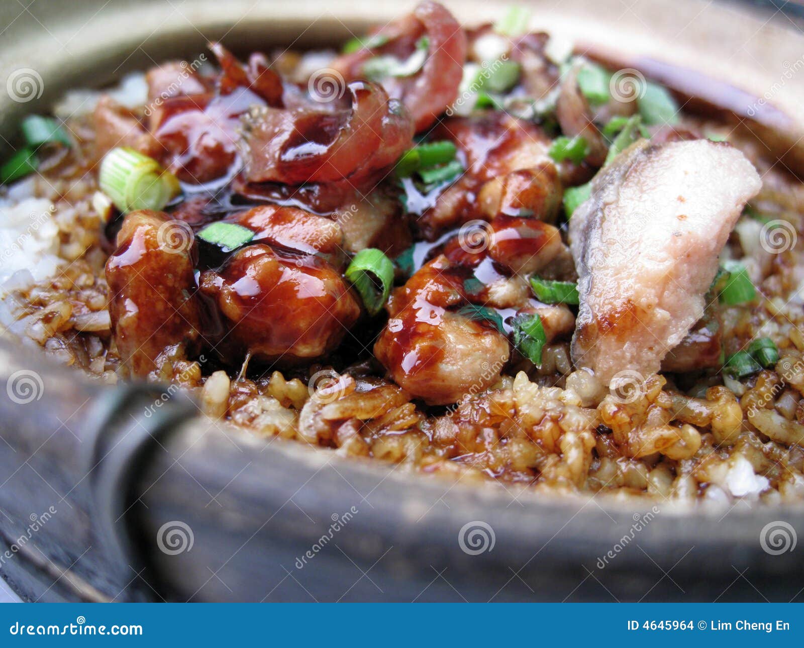 Clay pot chicken rice stock photo. Image of sauce, scoop - 4645964