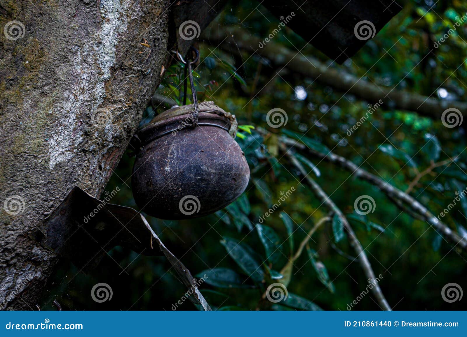 Clay Pot Hanging on Tree stock photo. Image of clay - 210861440